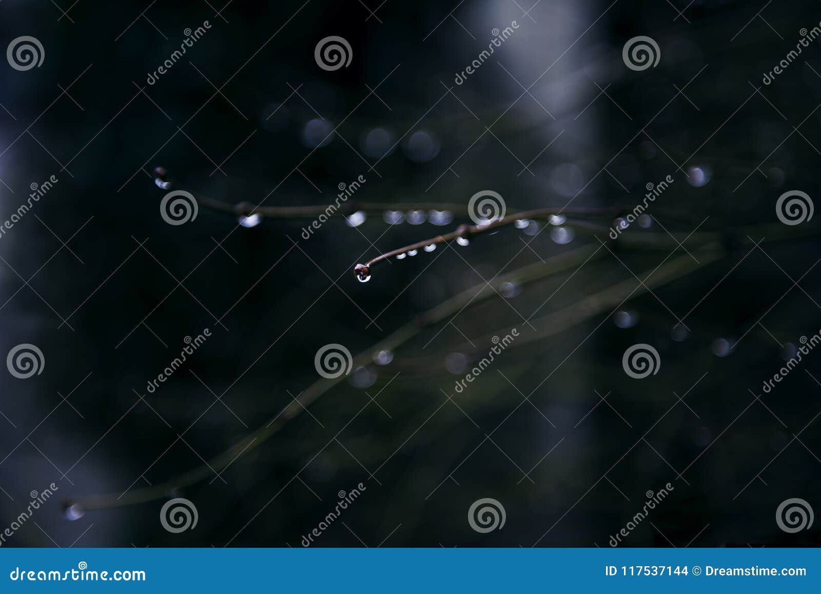 Once the rain falls stock photo. Image of rain, autum - 117537144