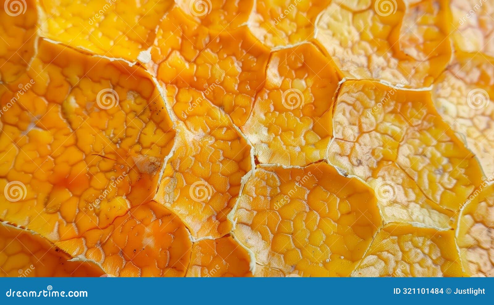 The Once Shiny Surface Now Appears Dull and Worn with a Pattern of ...