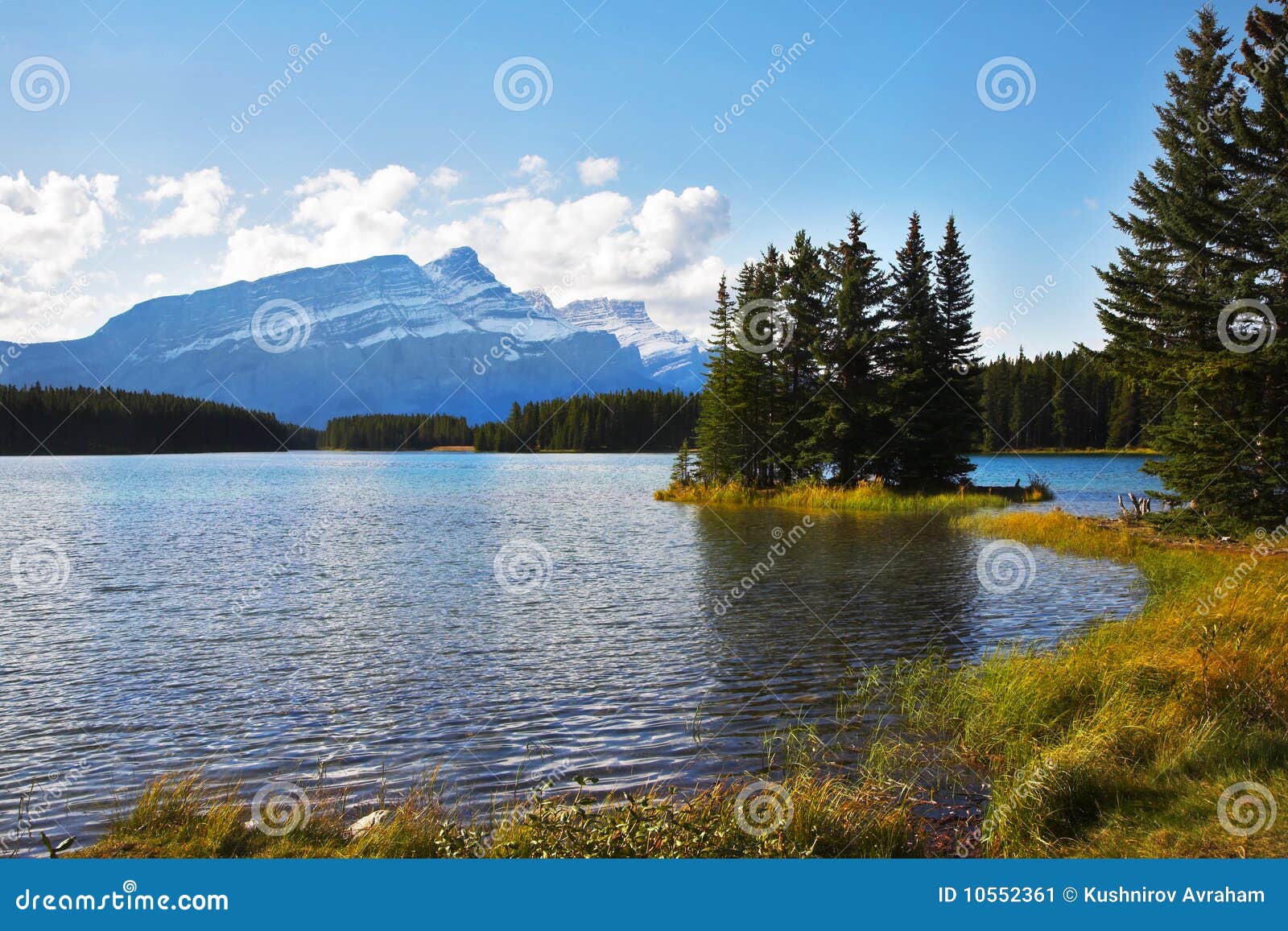 Ondiep van Canadees meer stock afbeelding. Image of struik - 10552361