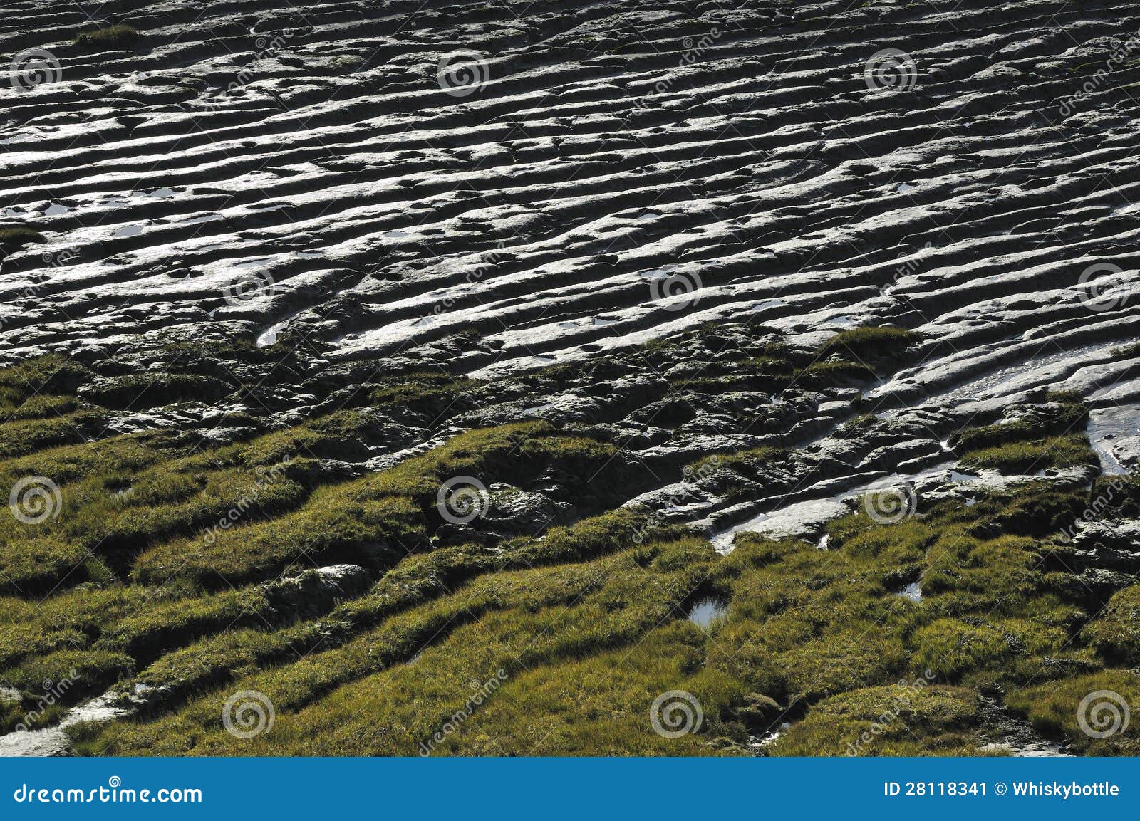 Ondulaciones del fango imagen de archivo. Imagen de arena - 28118341