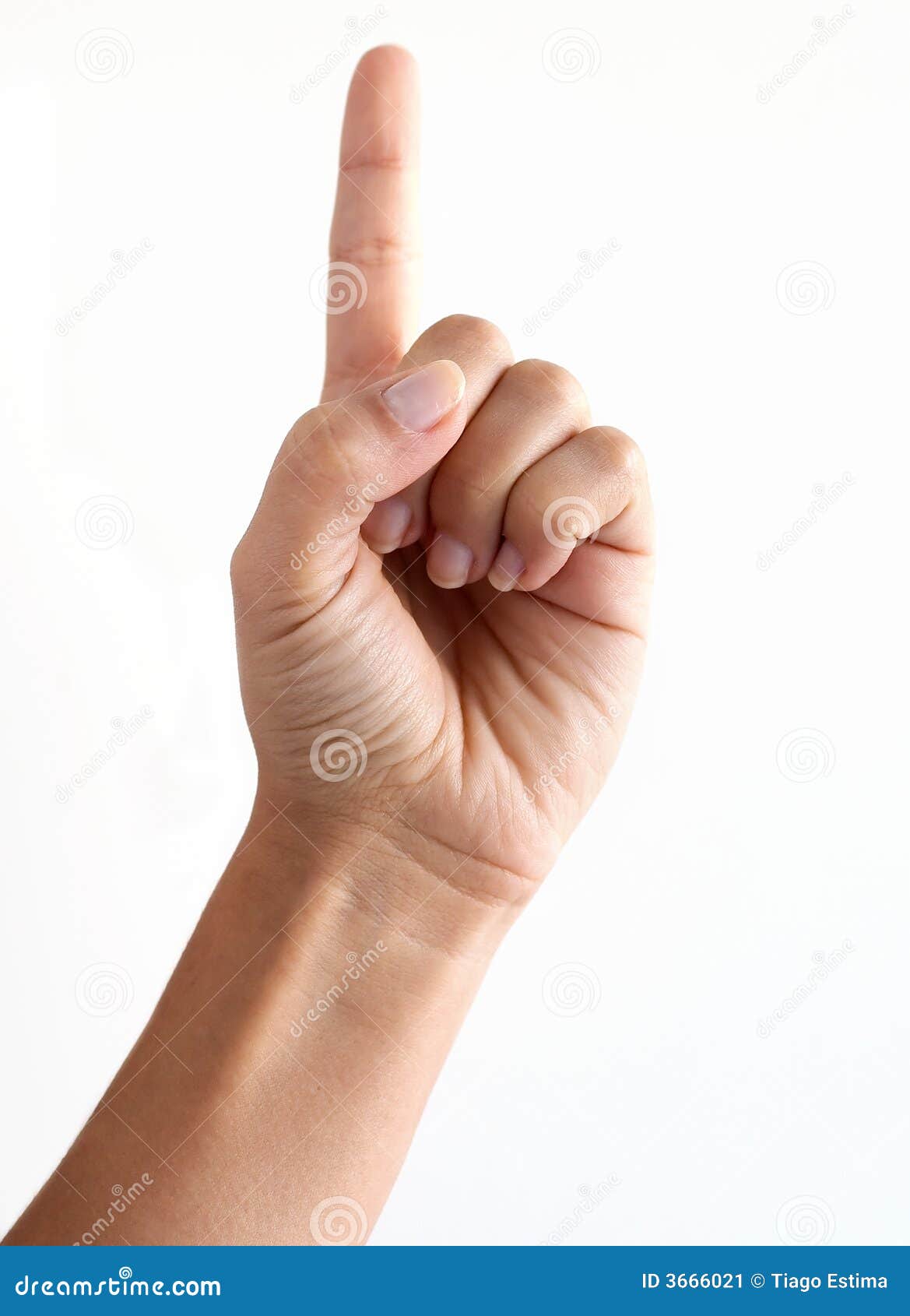 One stock image. Image of pointing, attitude, pointer - 3666021