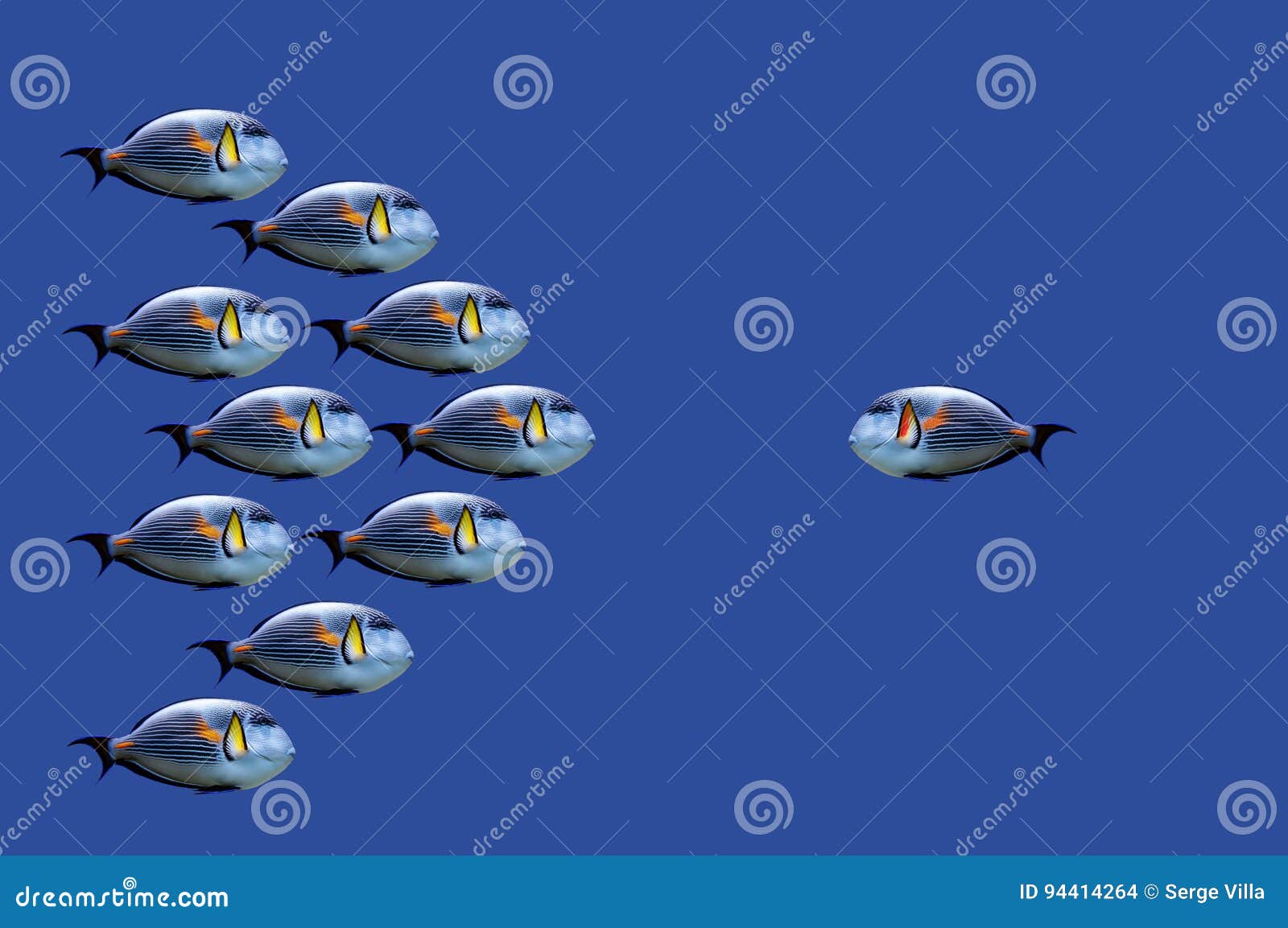 One against all stock illustration. Illustration of wildlife - 94414264