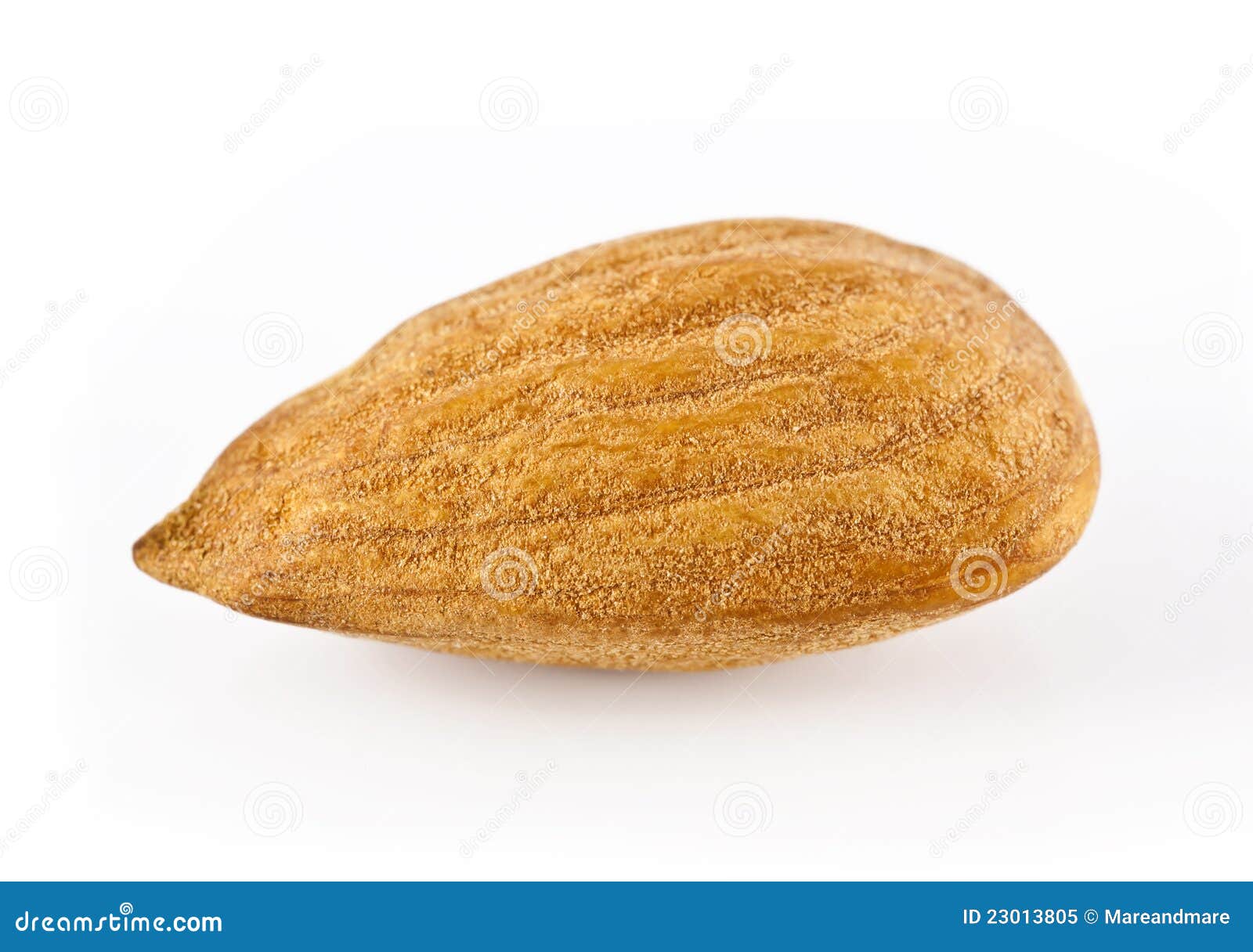 One almond stock image. Image of healthy, refreshment - 23013805