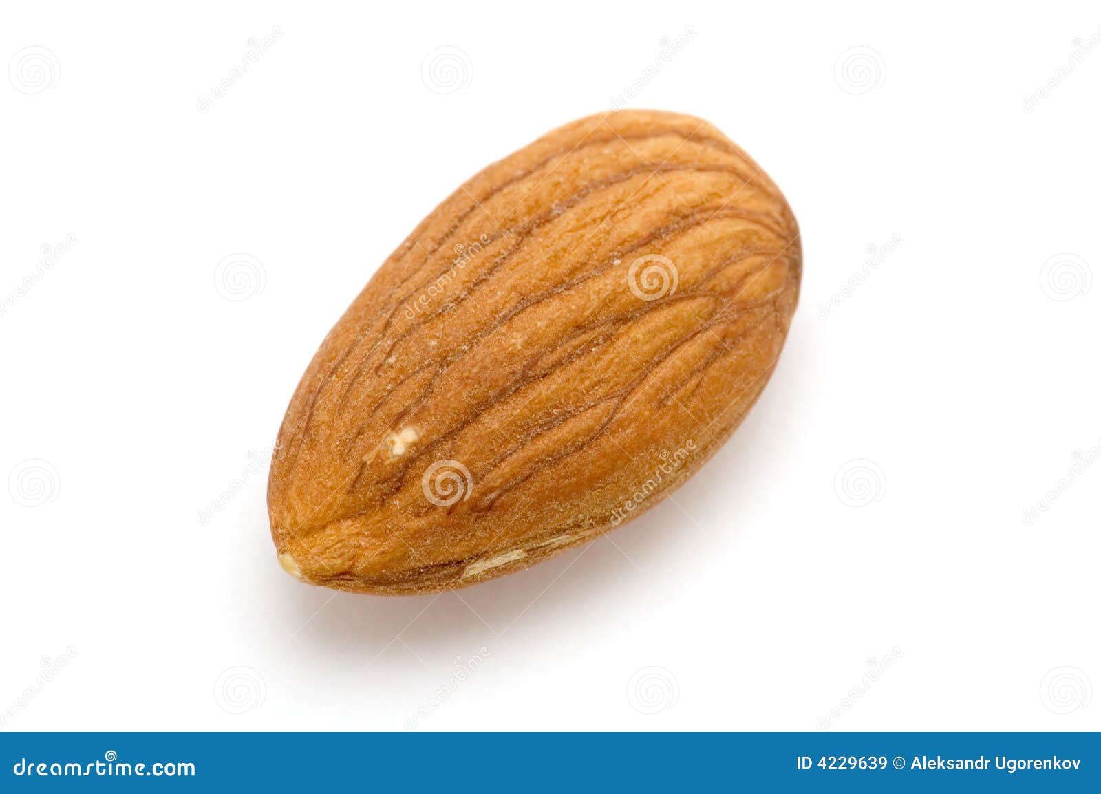 One almond stock image. Image of healthy, fresh, nutcrackers - 4229639