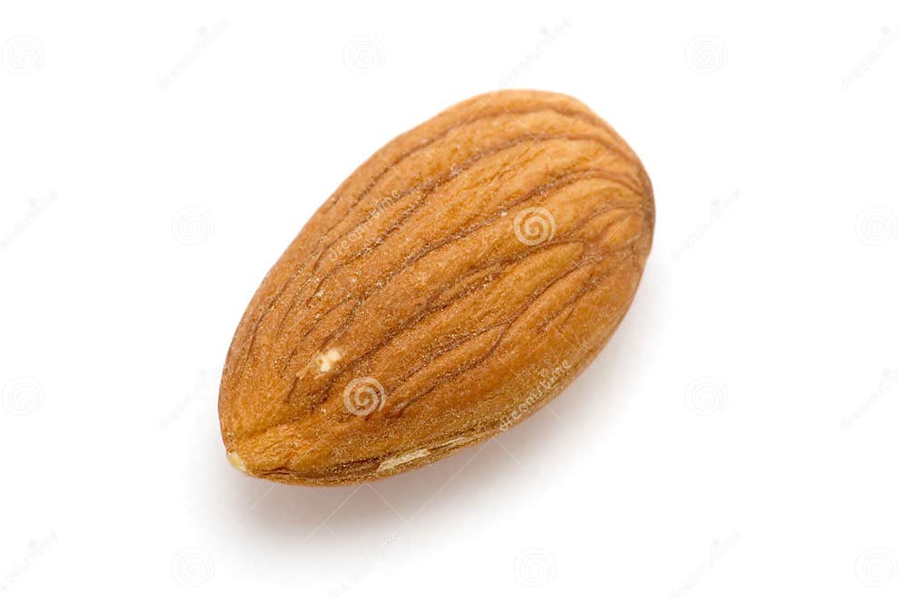One almond stock image. Image of healthy, fresh, nutcrackers - 4229639