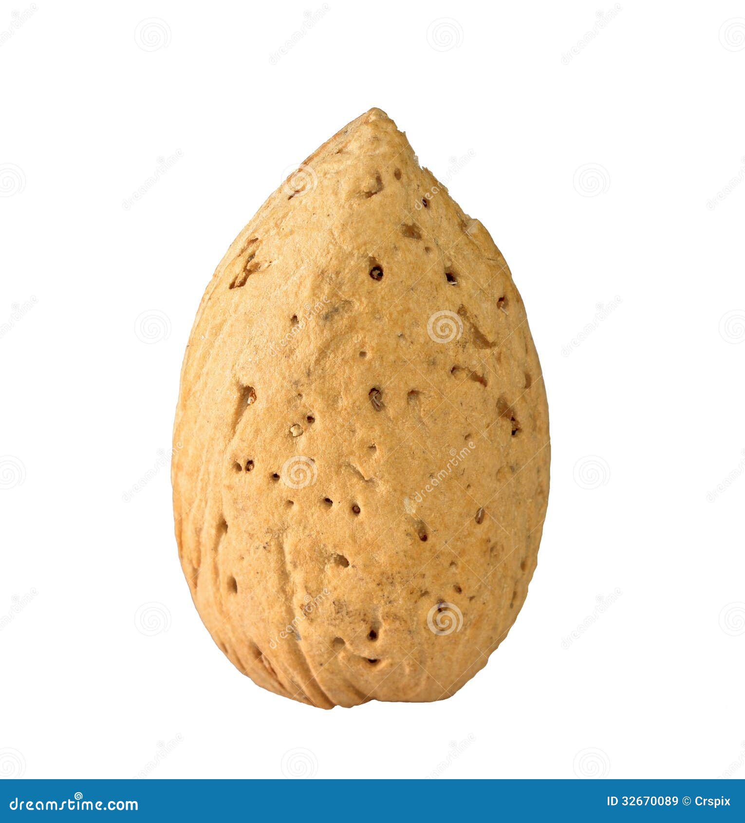 One almond stock image. Image of healthy, closeup, fresh - 32670089