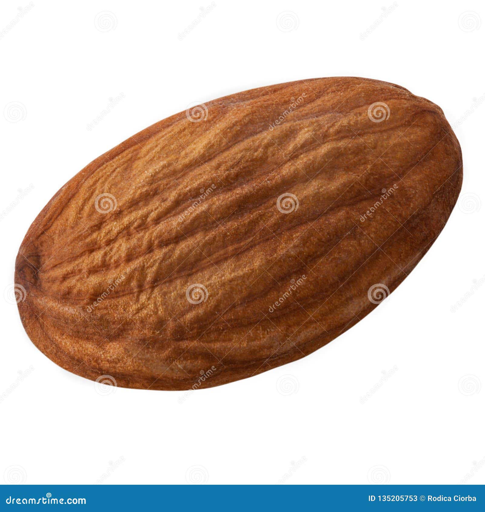 One Almond Fruit Isolated on White with Maximum Sharpness Stock Image ...