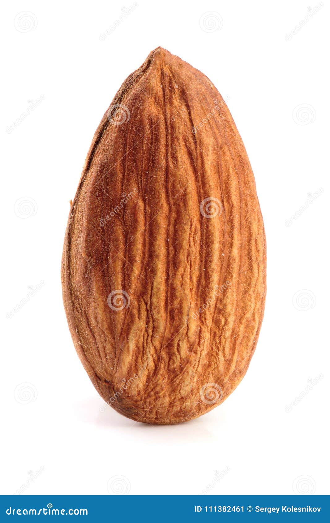 One Almond Isolated on White Background Macro Stock Image - Image of ...