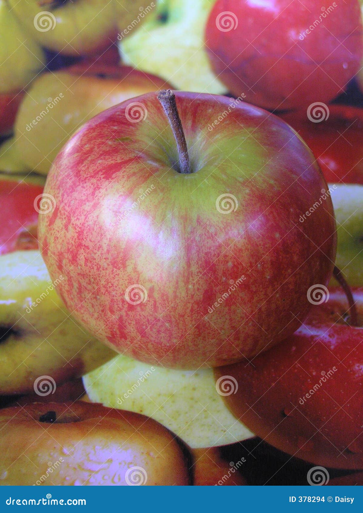 One apple stock photo. Image of apple, nature, harvest - 378294