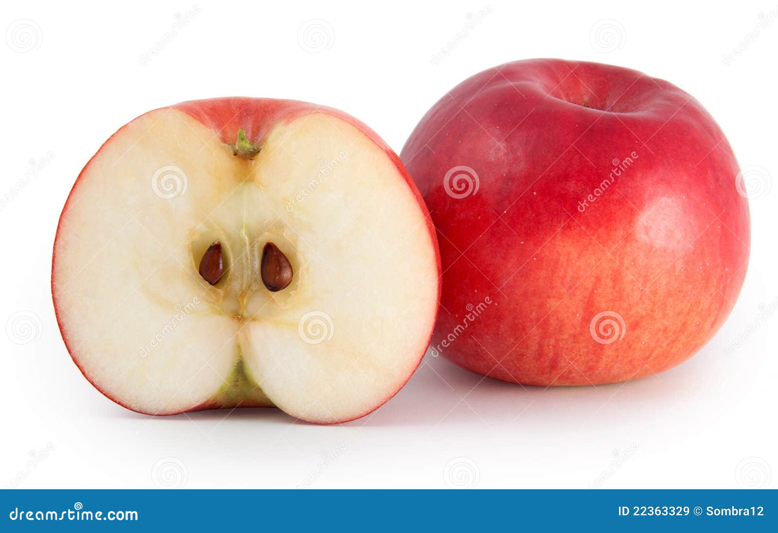One apple and a half stock image. Image of farm, isolated - 22363329