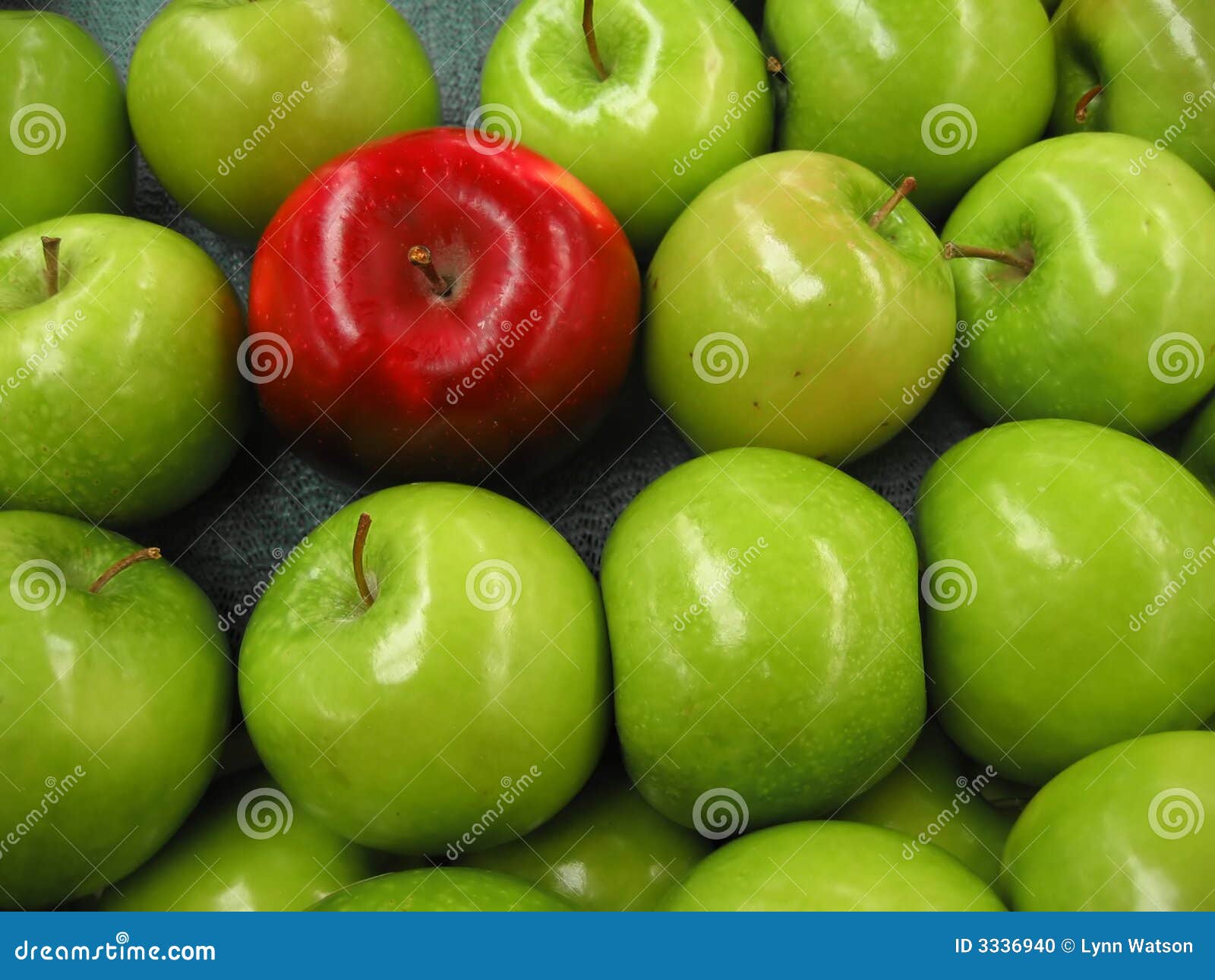 One Apple among Lots of Green Stock Photo - Image of fresh, bunch: 3336940