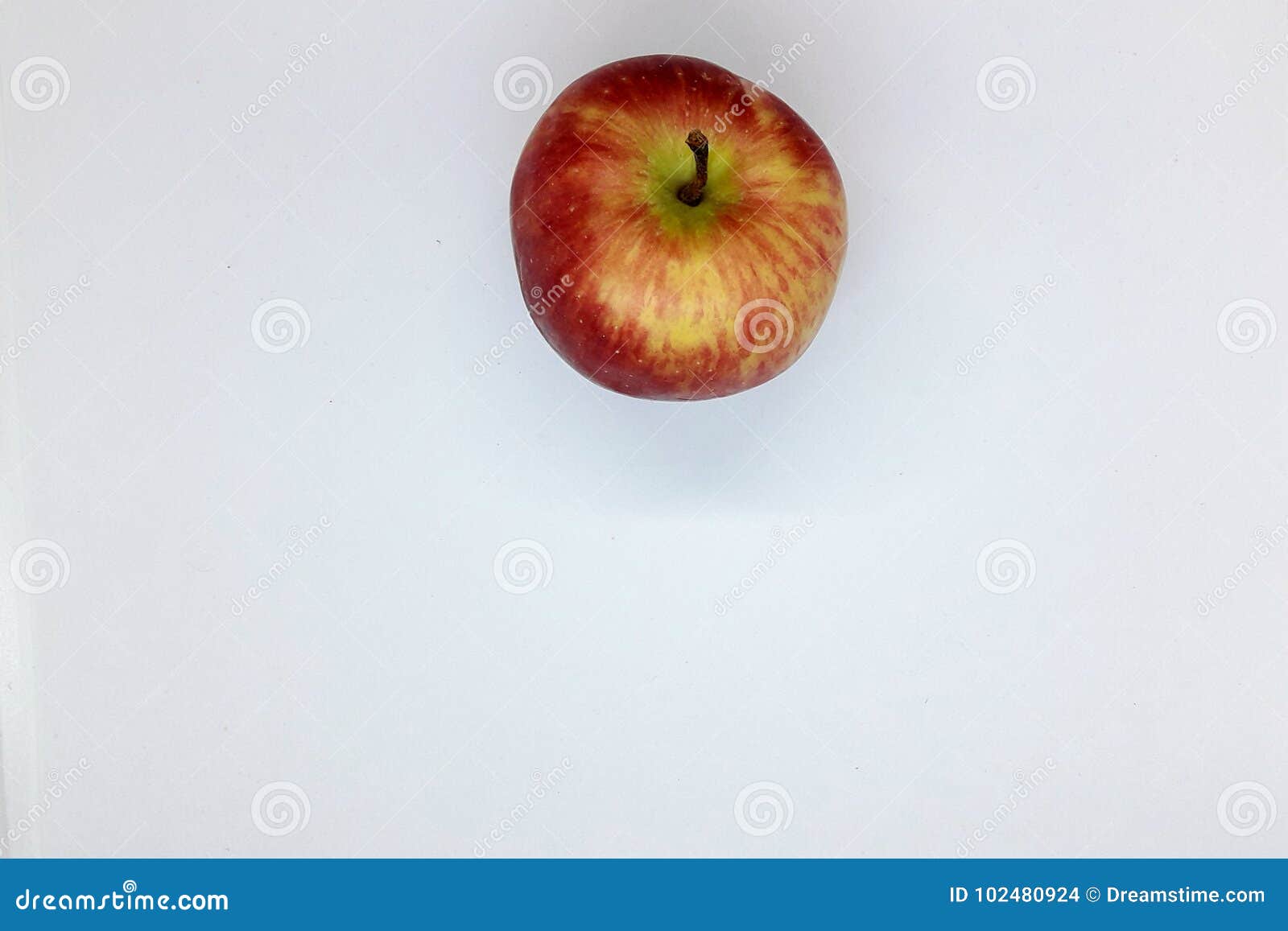 One apple stock photo. Image of healthy, knot, fruits - 102480924