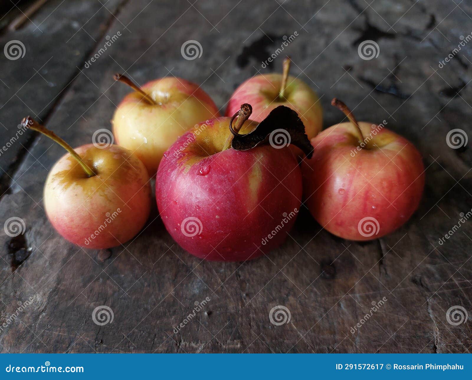 One Apple, a Small Variety, Was Brought Together in a Pile, Led by the ...