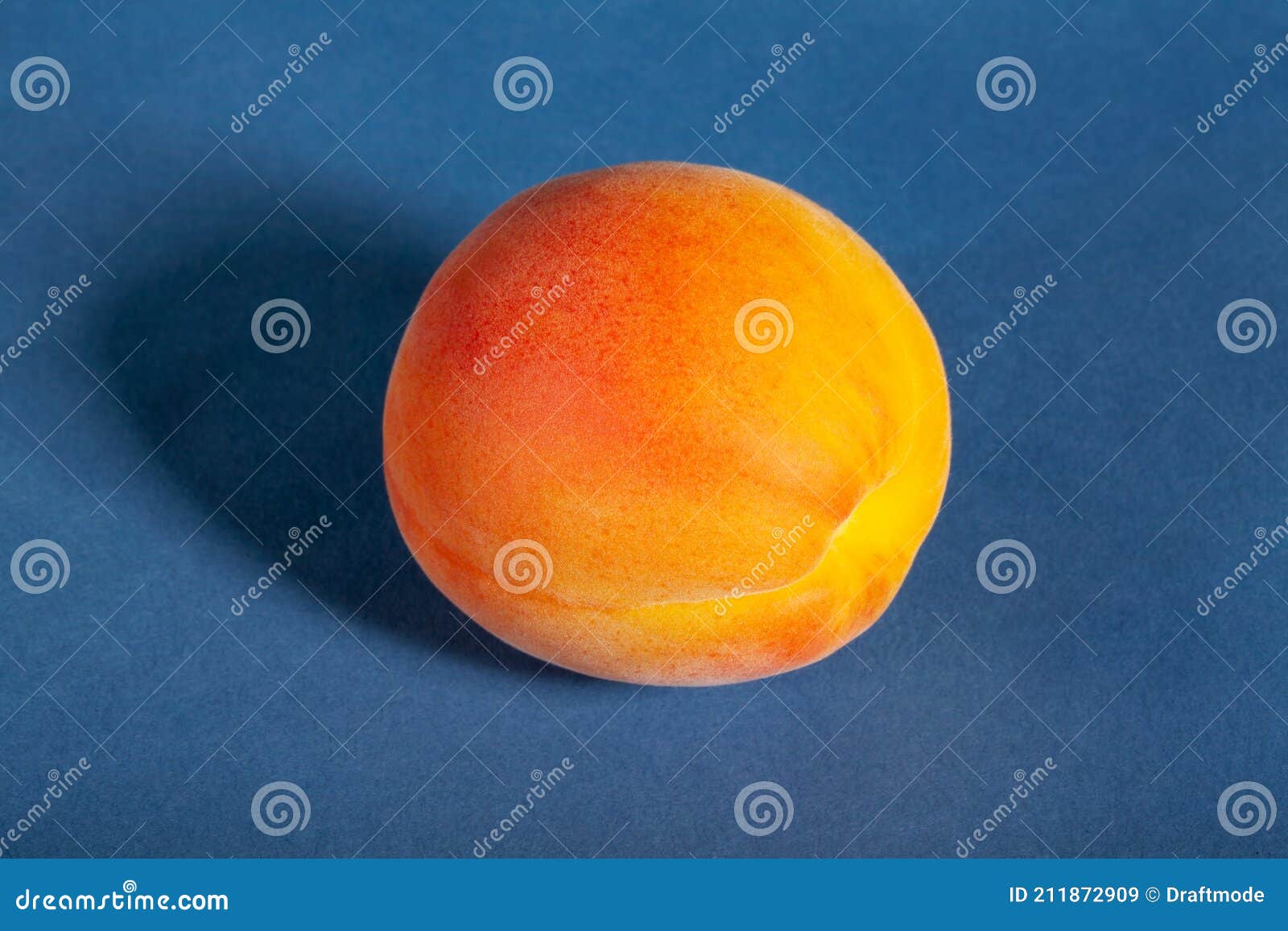 One apricot on blue stock image. Image of antioxidant - 211872909