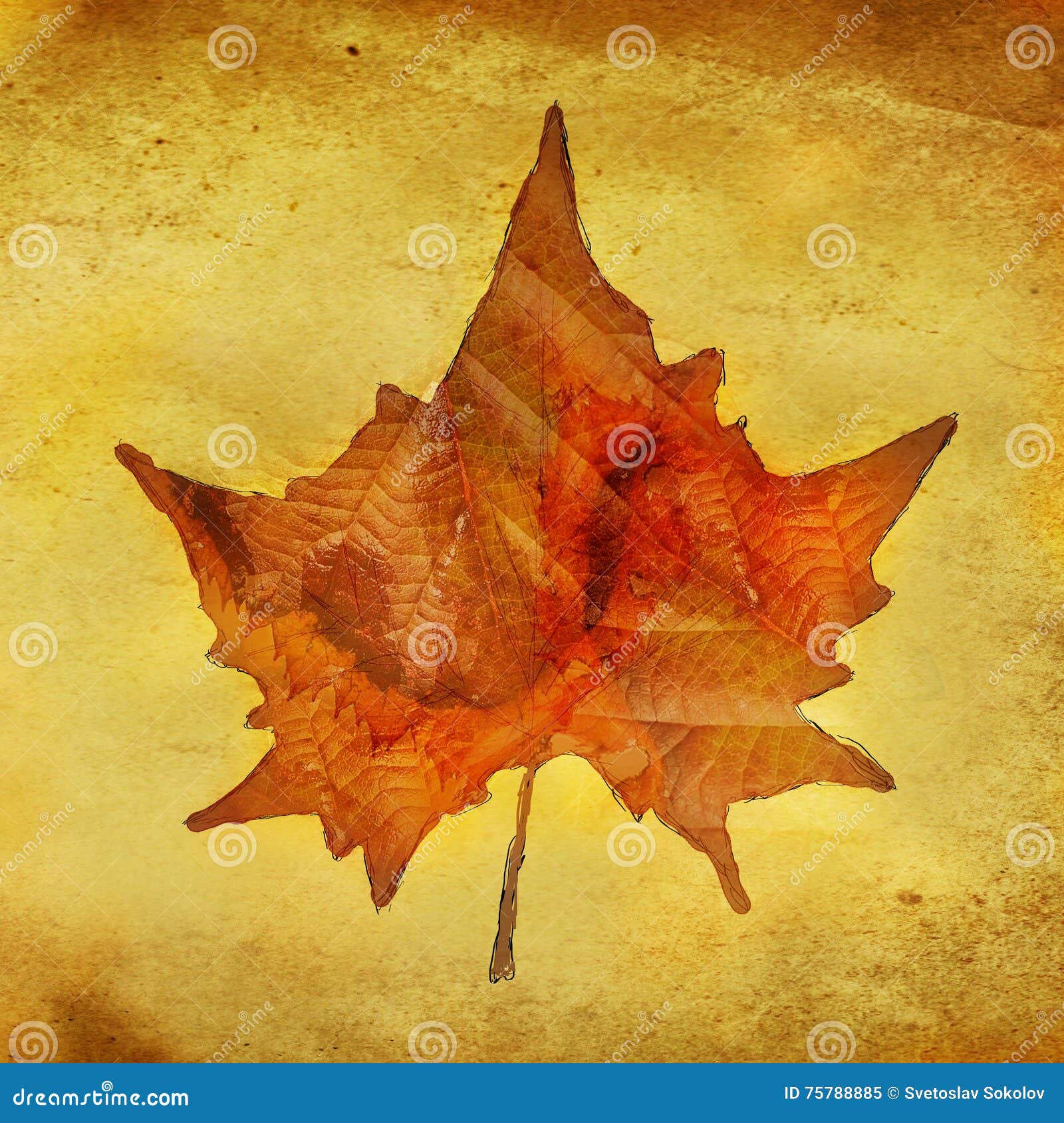 One autumn leaf stock illustration. Illustration of texture - 75788885