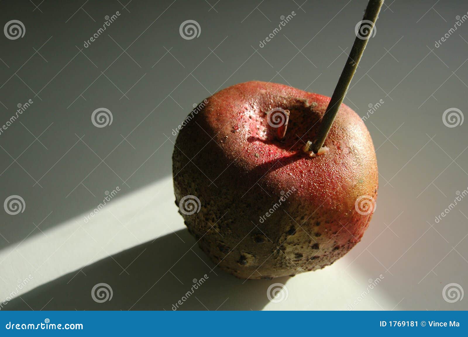 One Bad Apple stock image. Image of fruit, food, shadow - 1769181
