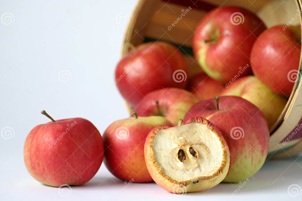 One Bad Apple Spoils the Bunch Stock Photo - Image of lying, laying: 364516