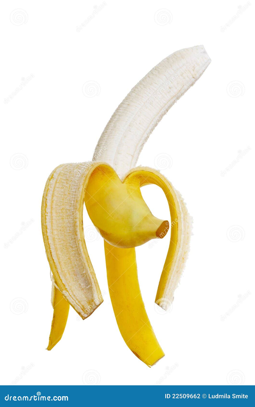 One banana. stock photo. Image of cutout, food, peeled - 22509662