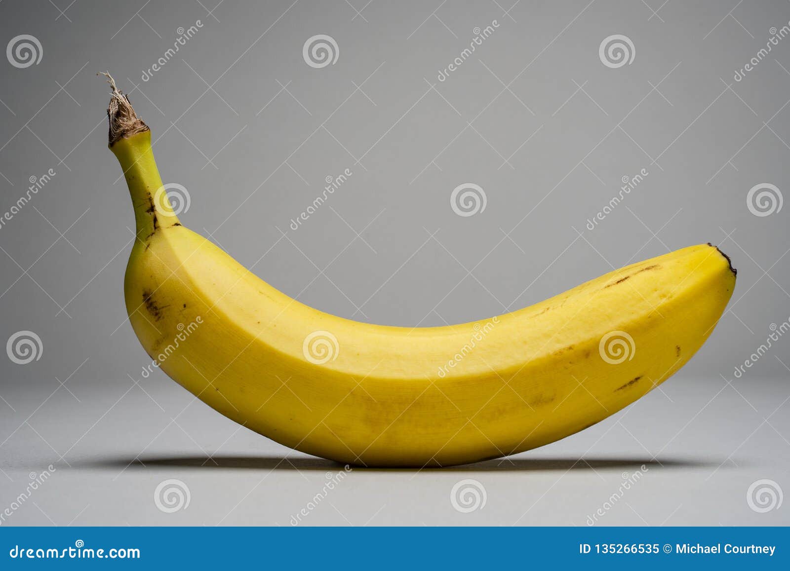 One Banana Shot on a Grey Studio Background Stock Image - Image of ...
