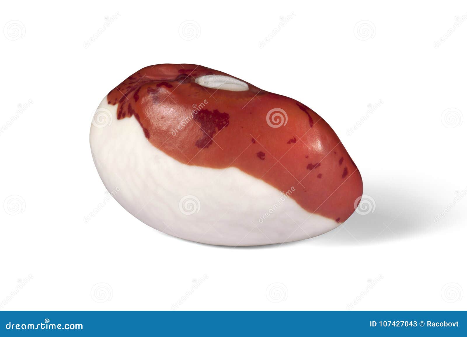 One bean of colored bean stock image. Image of vegetable - 107427043