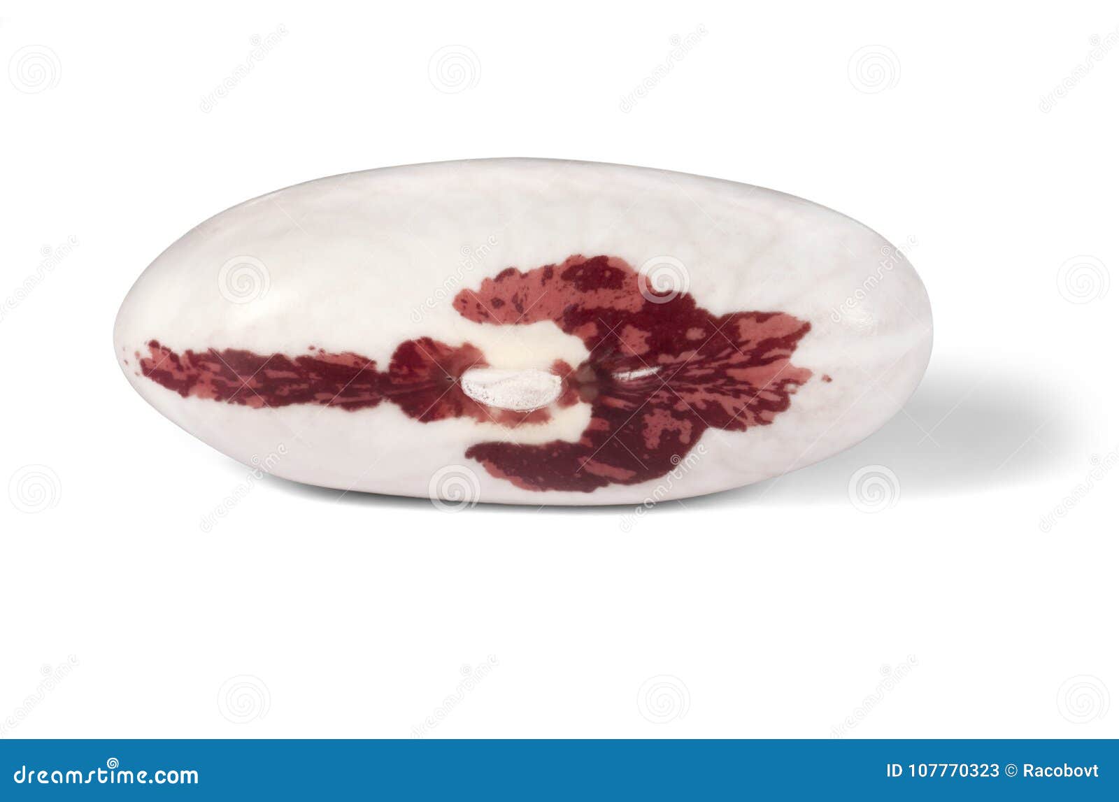 One bean of colored bean stock image. Image of closeup - 107770323