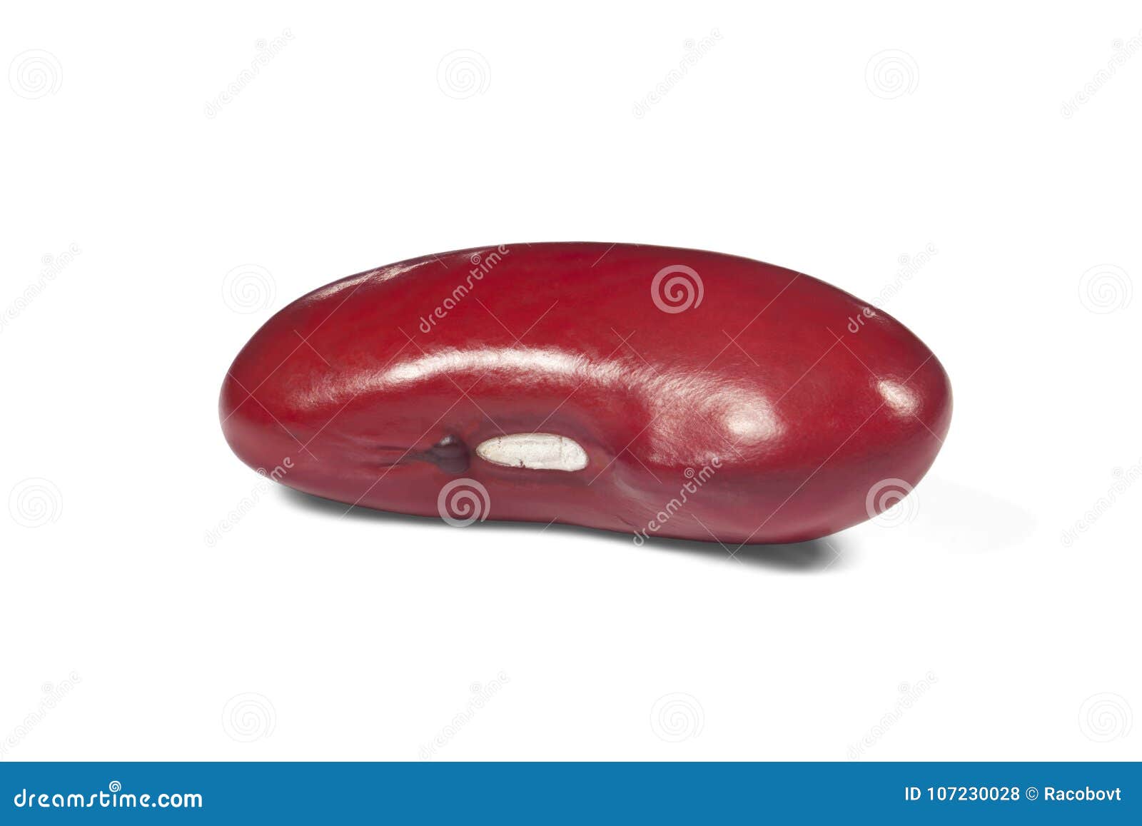 One bean of a red bean stock photo. Image of nutrition - 107230028