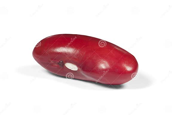 One bean of a red bean stock photo. Image of edible - 107230044