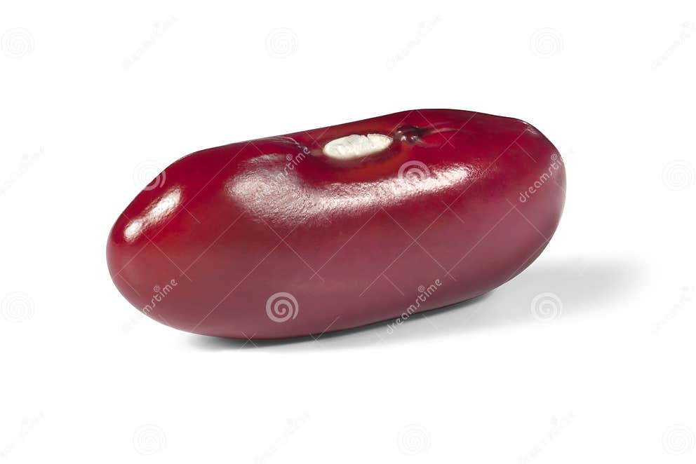 One bean of a red bean stock image. Image of food, vegetable - 107230151