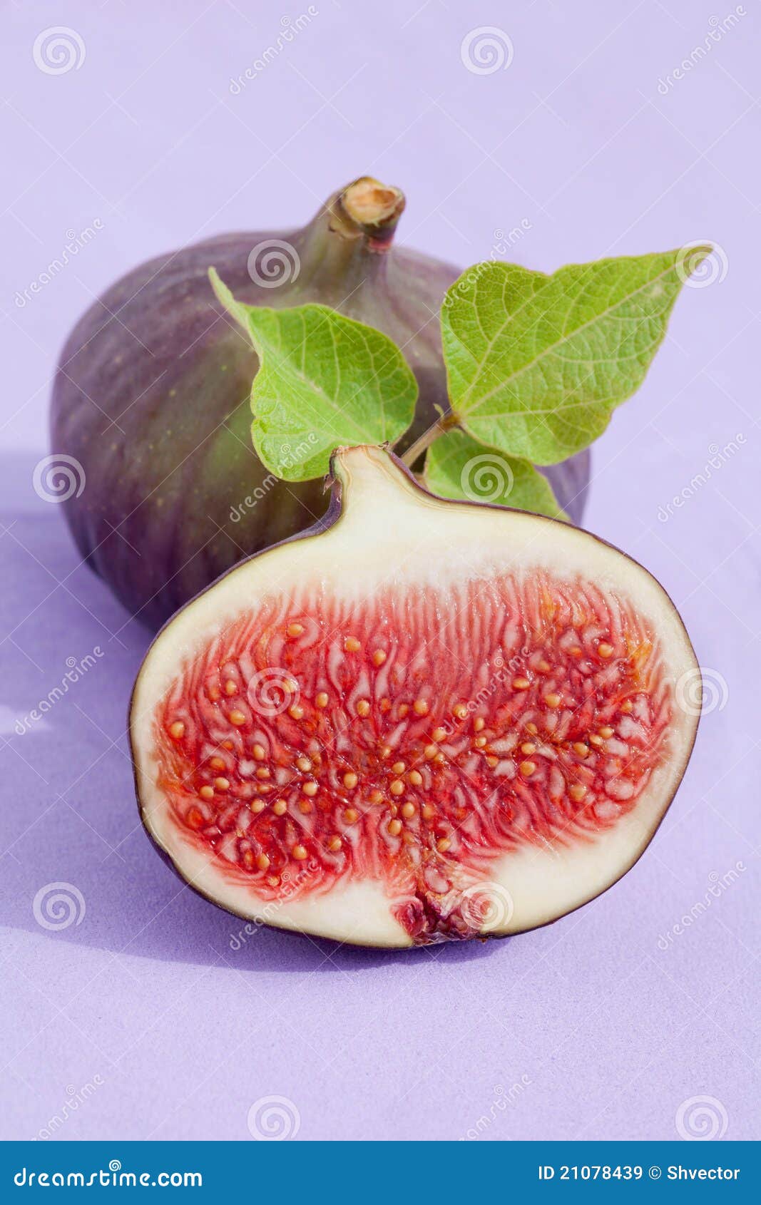One beautiful fig stock image. Image of healthy, close - 21078439