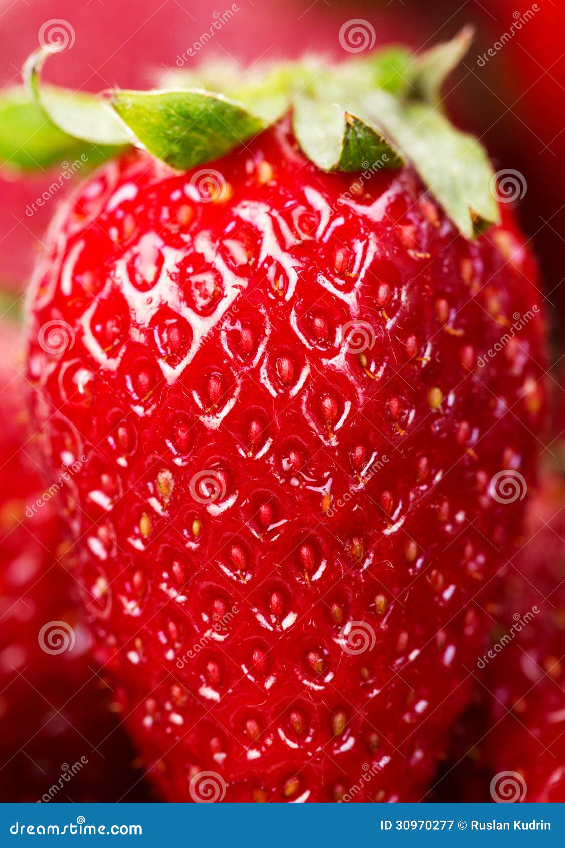 One berry strawberry stock image. Image of heap, refreshment - 30970277