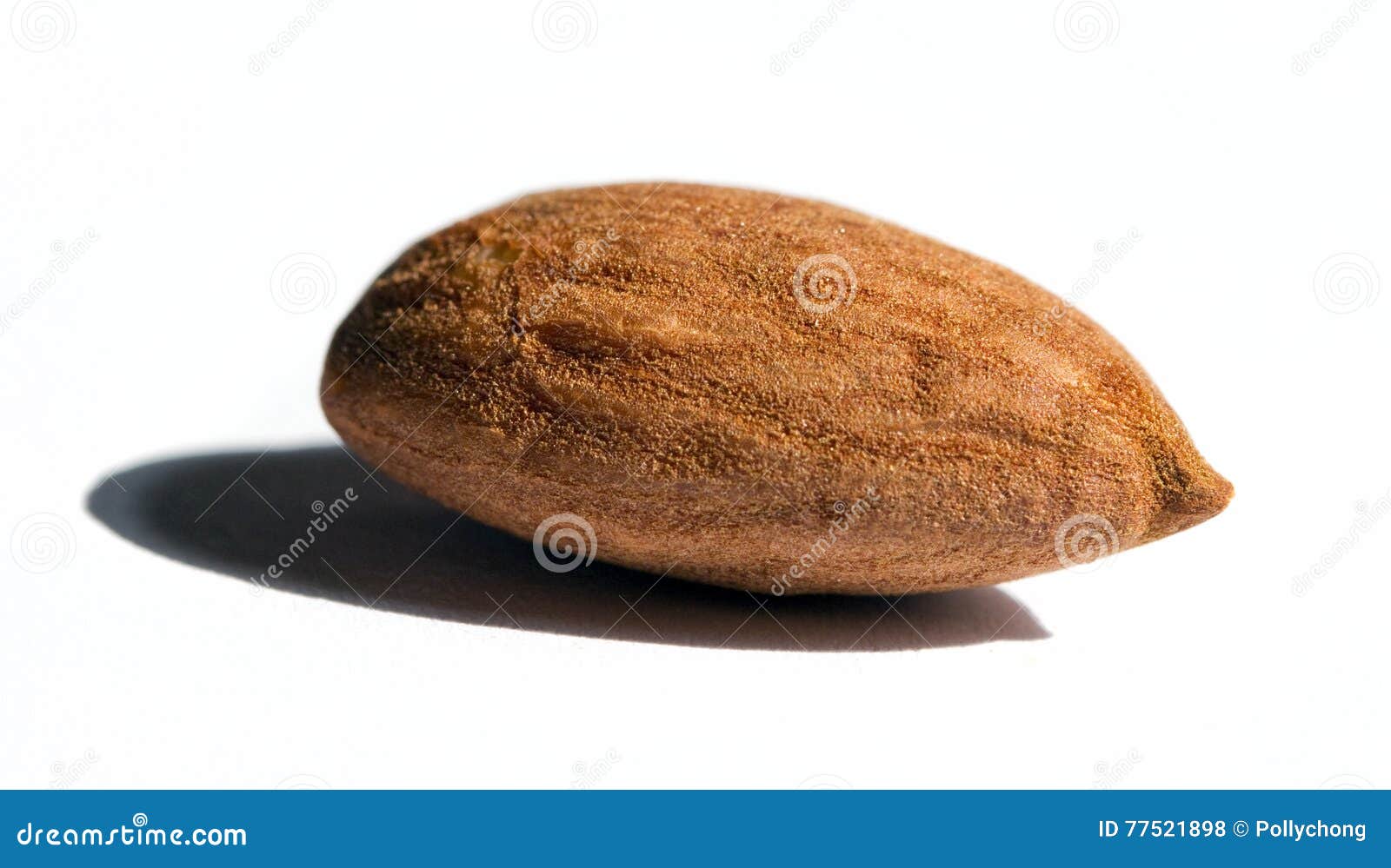 One Big Almond Isolated on White Background Stock Photo - Image of ...