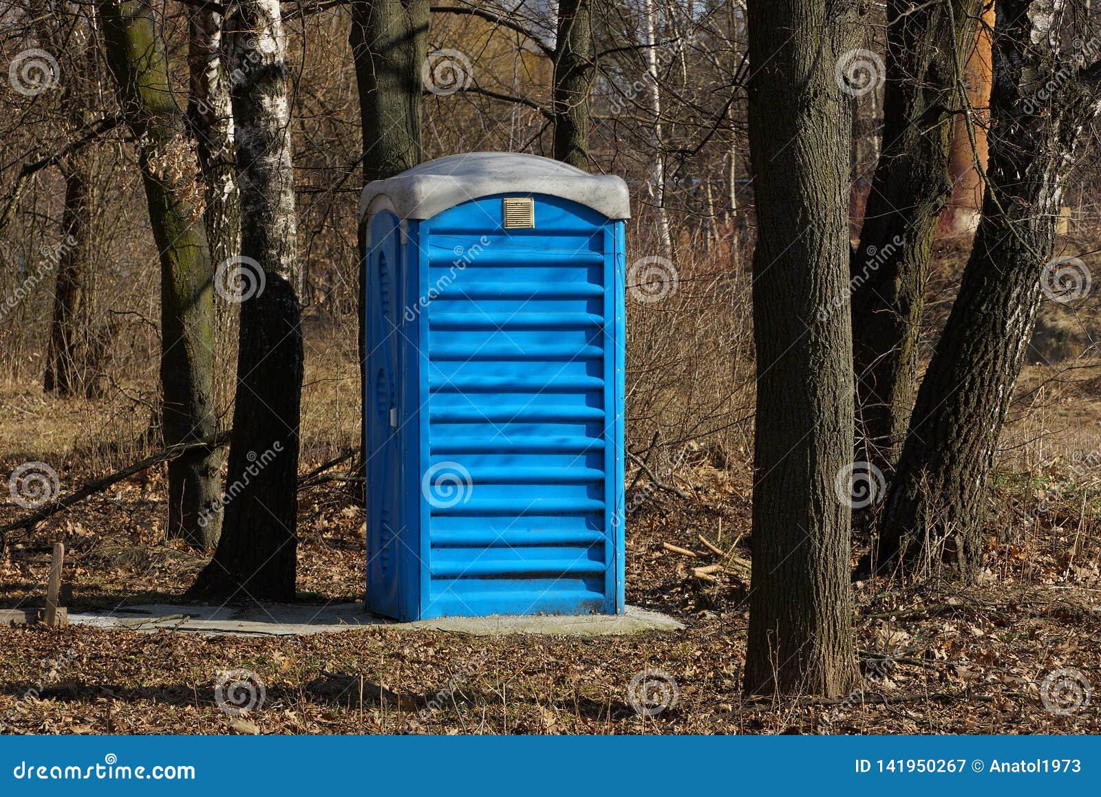 Big Blue Plastic Toilet Stands among the Trees in the Park Stock Image ...