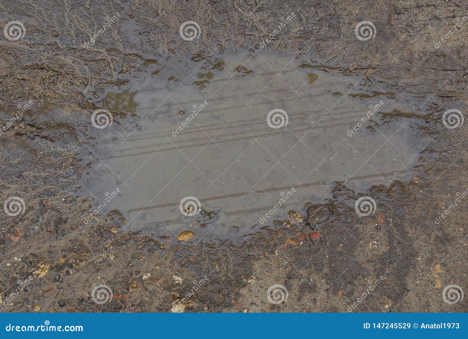Big Brown Muddy Puddle Outside on the Road Stock Image - Image of ...