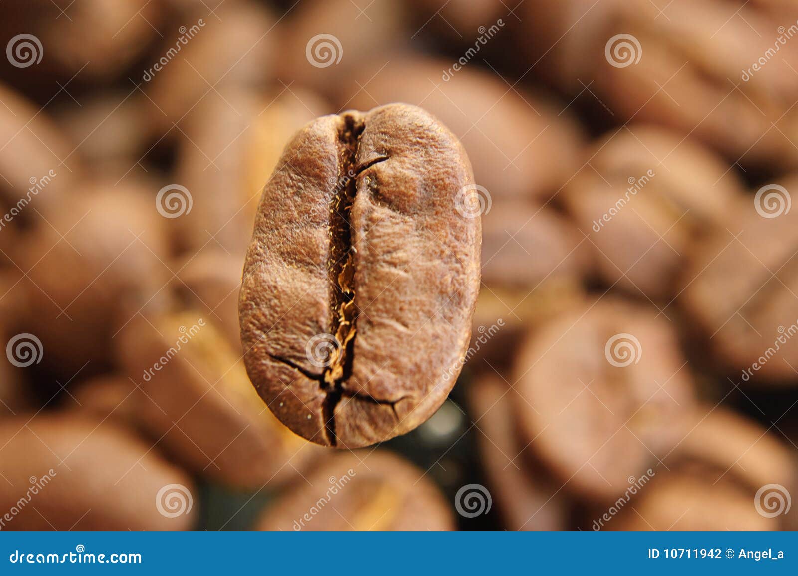 One Big Coffee Bean in Focus Stock Photo - Image of bean, morning: 10711942