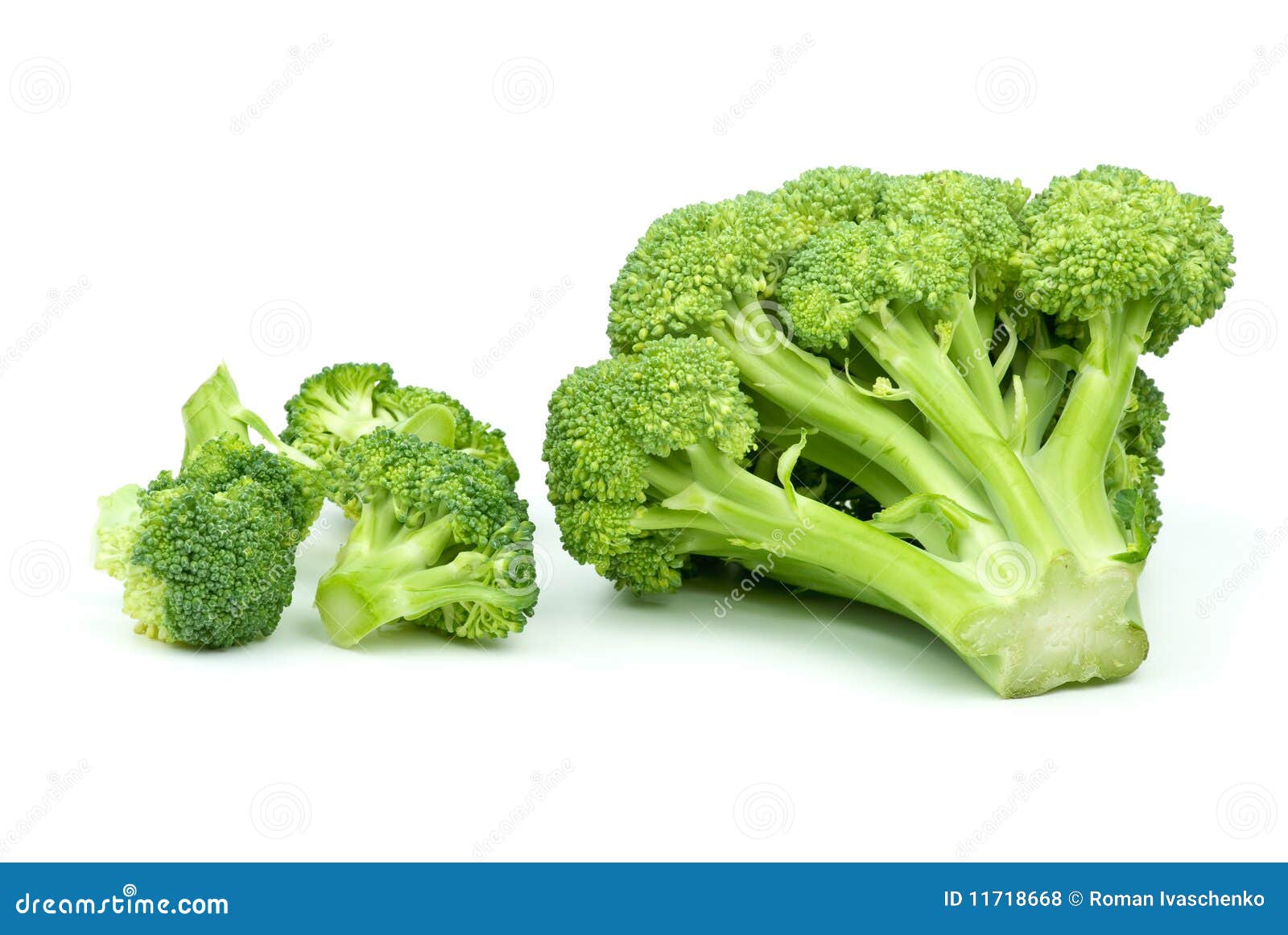 One Big and Few Small Broccoli Pieces Stock Photo - Image of green ...