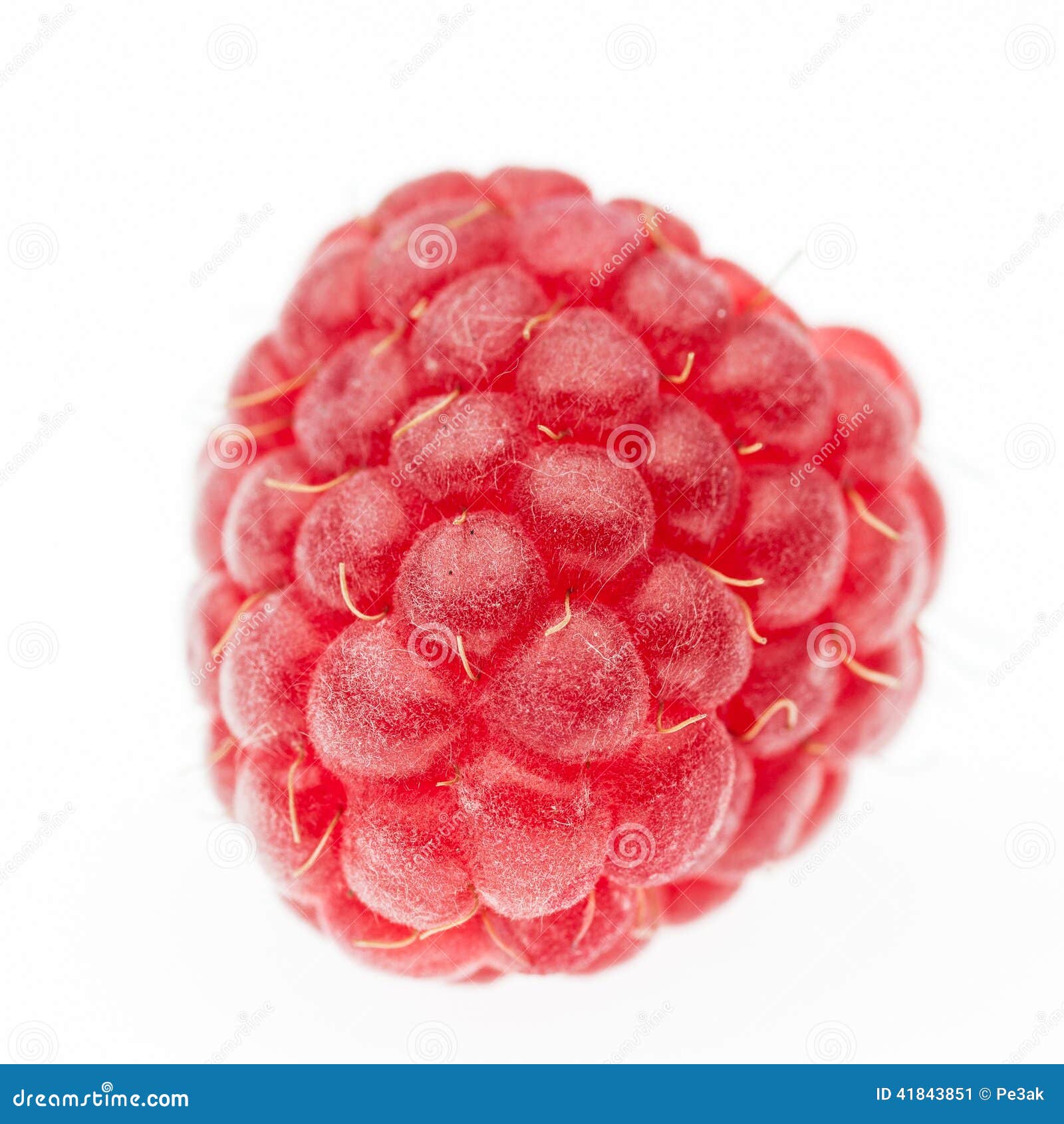 One big red raspberry stock image. Image of tasty, raspberry - 41843851