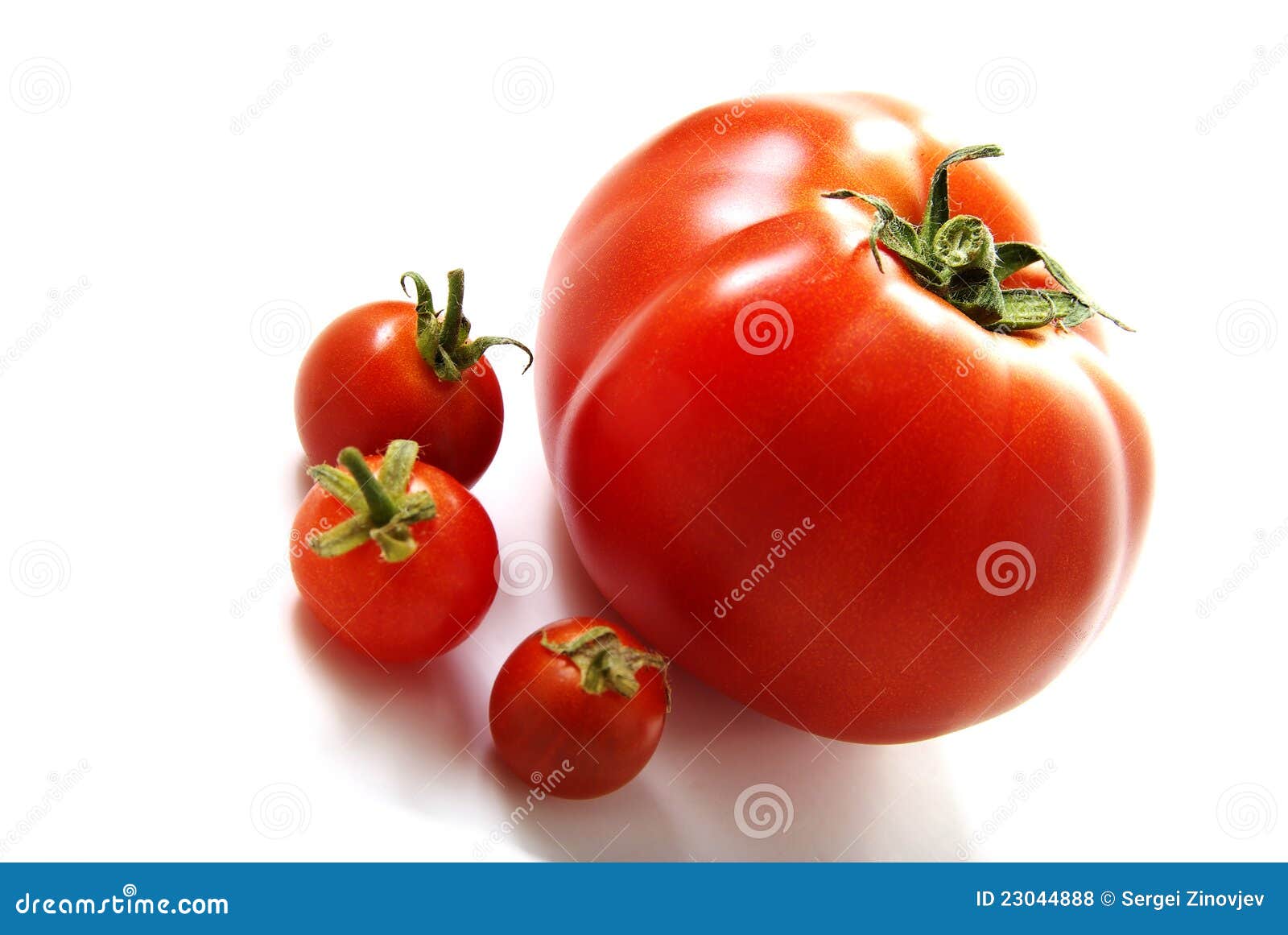 One Big and Three Small Tomatoes. Stock Photo - Image of cook, tomato ...