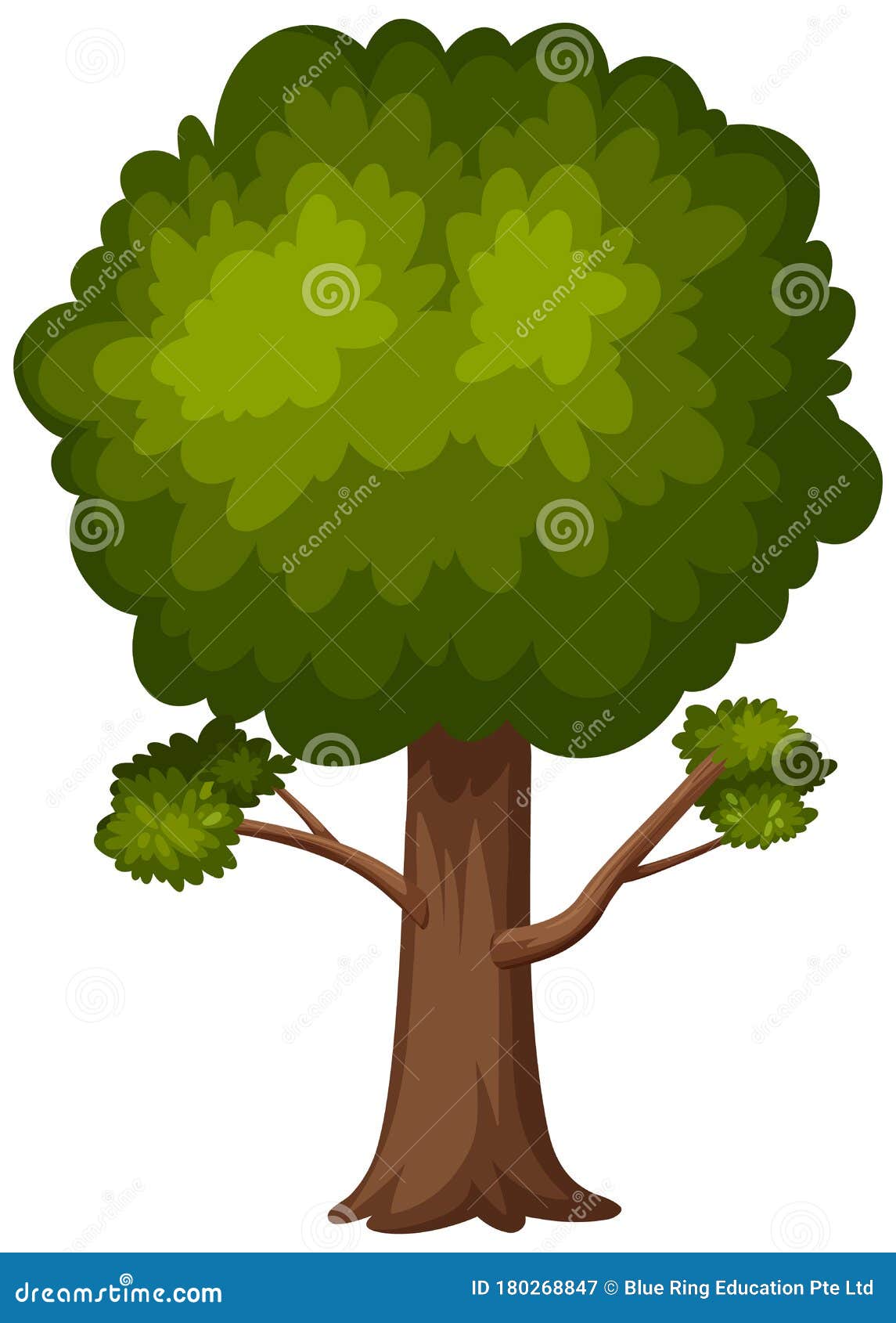One Big Tree on White Background Stock Vector - Illustration of tree ...