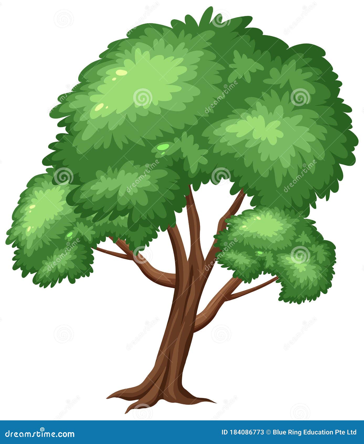 One Big Tree on White Background Stock Vector - Illustration of climate ...