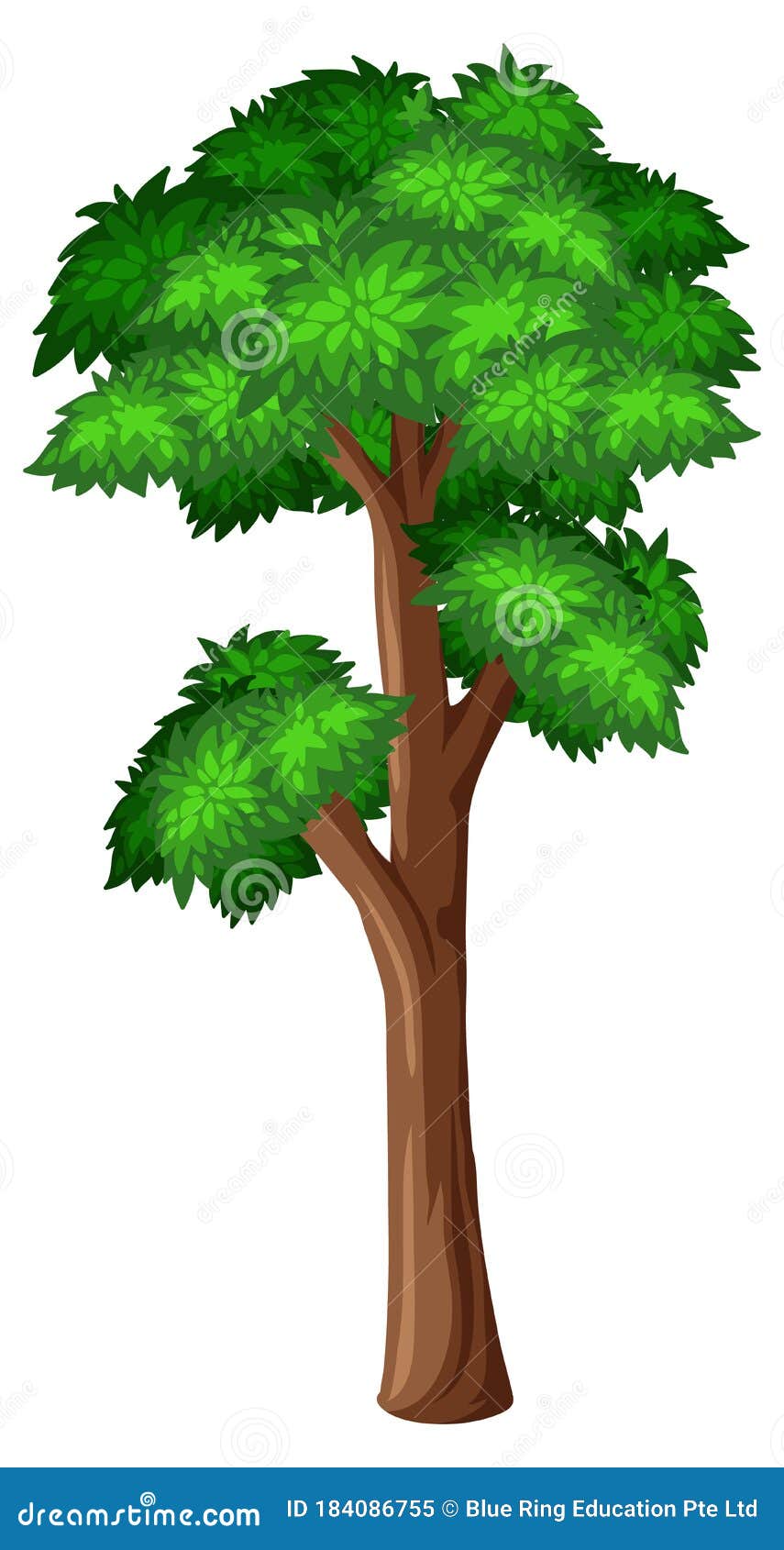 One Big Tree on White Background Stock Vector - Illustration of ...