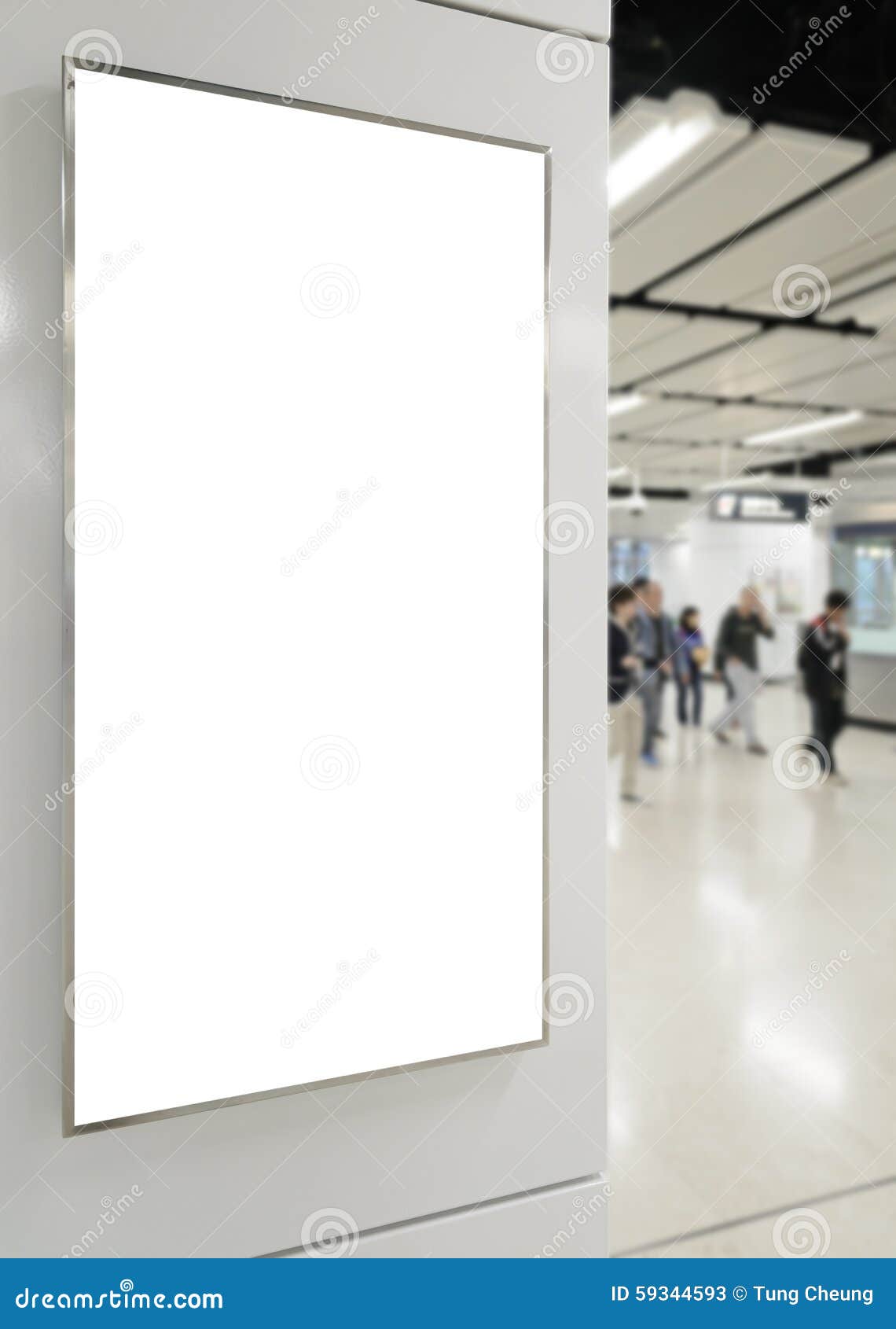 Portrait Orientation View Of American Bittern Classic Pose Amongst ...