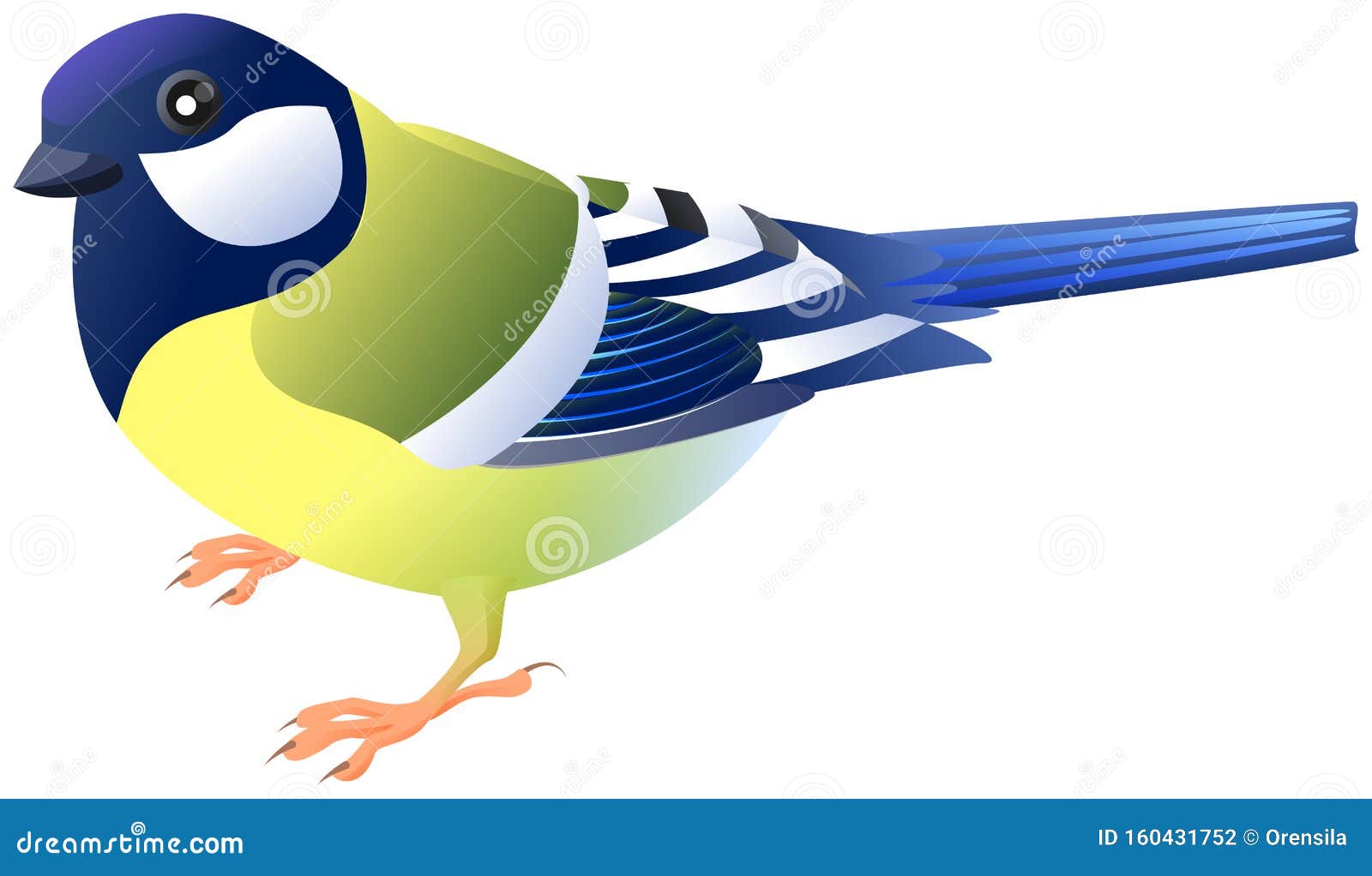 One Bird Great Tit Side View Profile Isolated on White Vector Stock ...