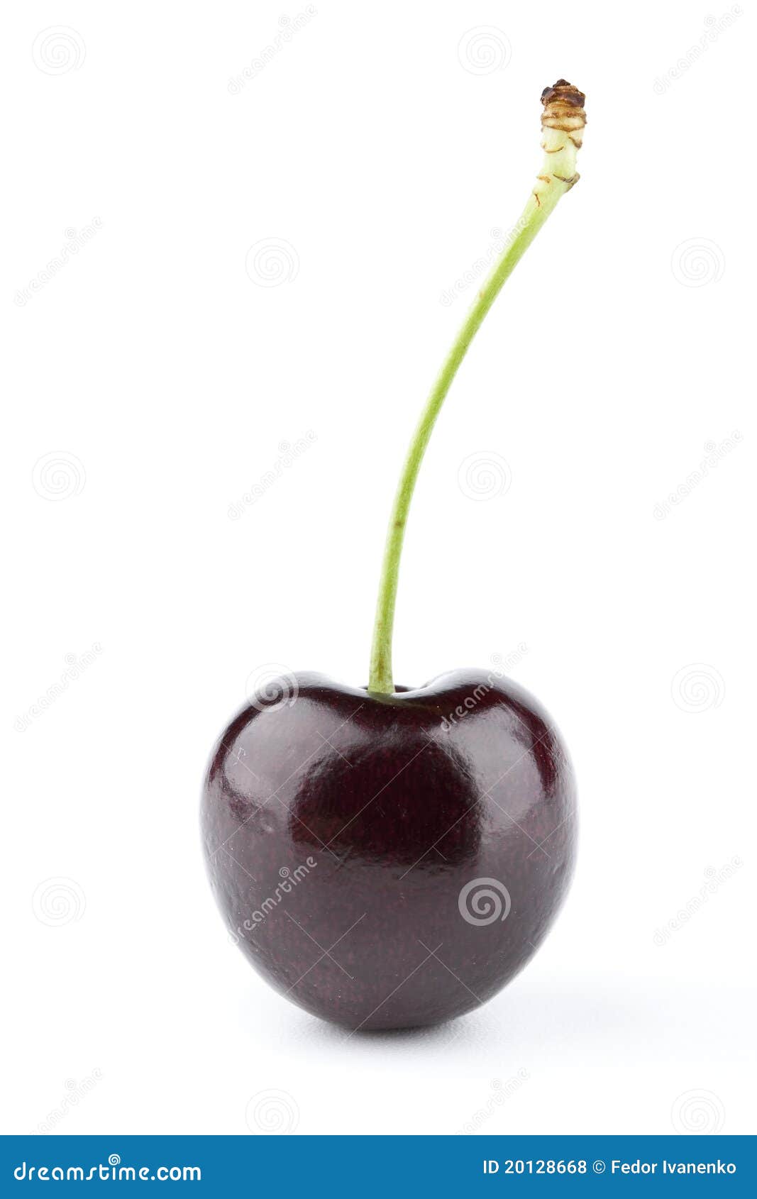 One black cherry stock photo. Image of diet, nutrition - 20128668