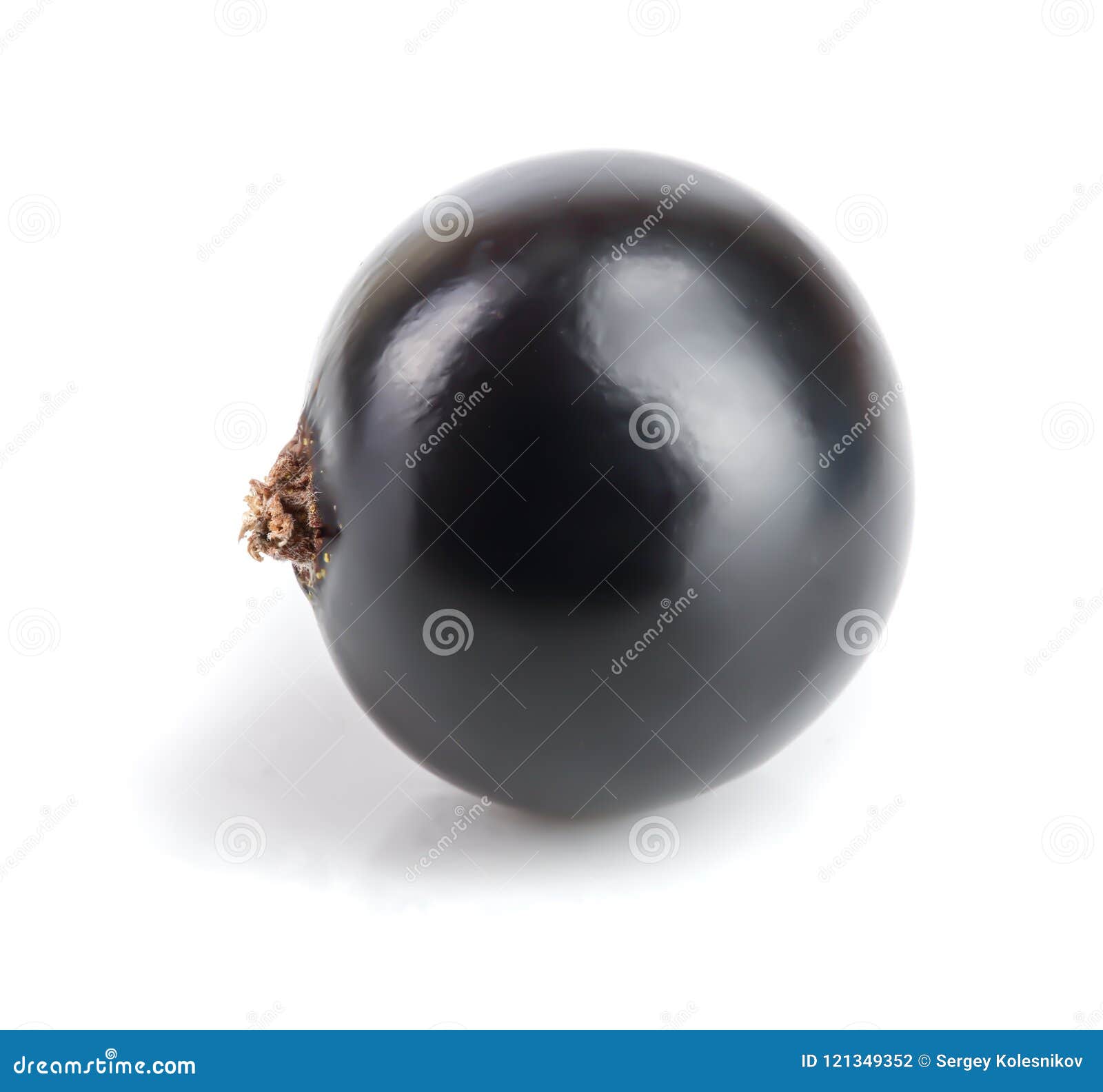 One Black Currant Isolated on White Background Stock Photo - Image of ...
