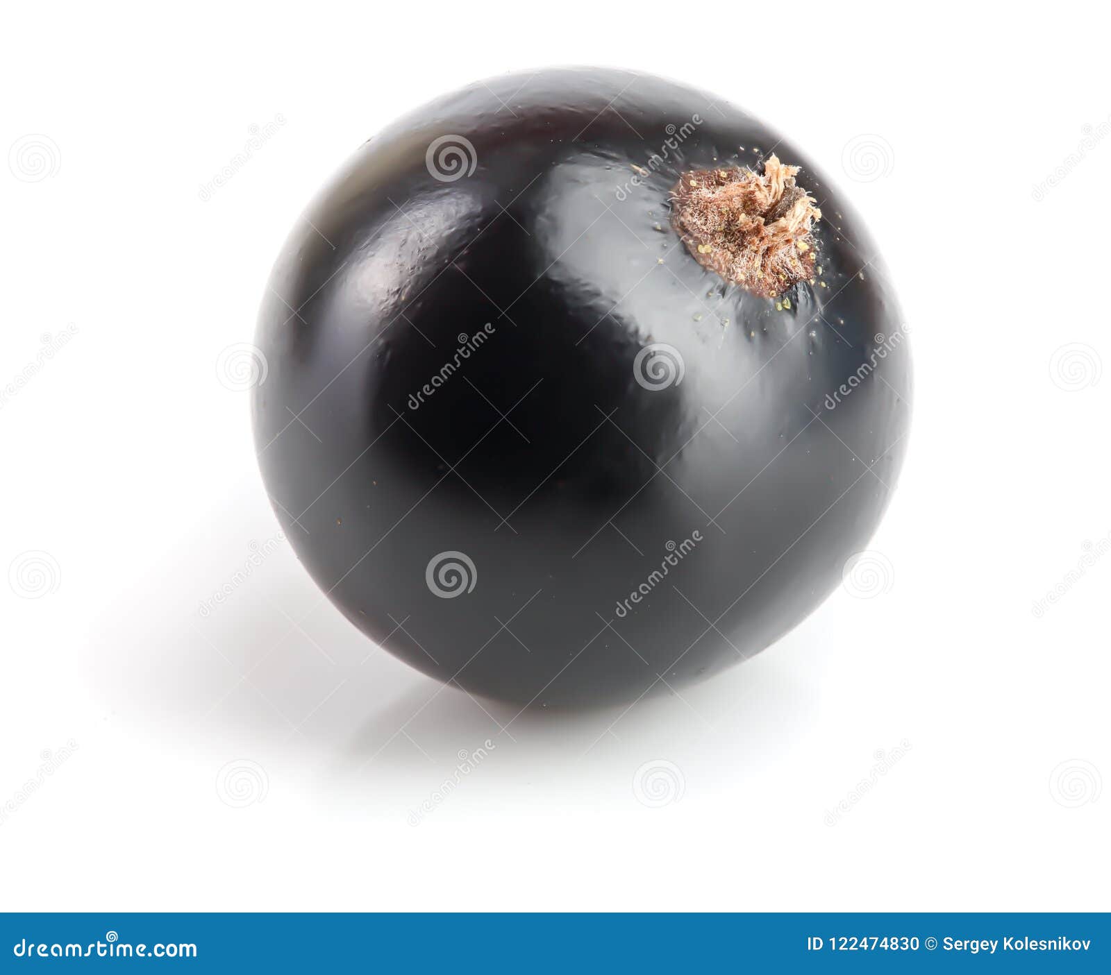 One Black Currant Isolated on White Background Stock Photo - Image of ...