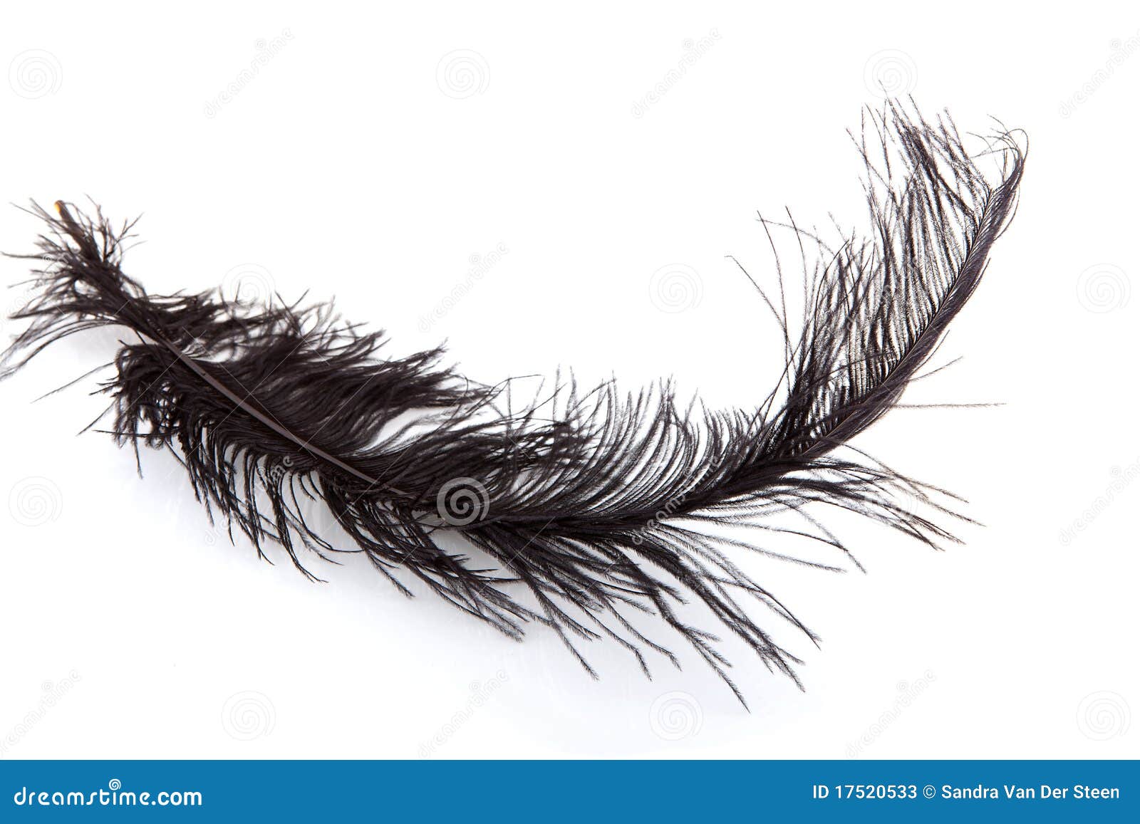 One black feather stock image. Image of feather, plumage - 17520533