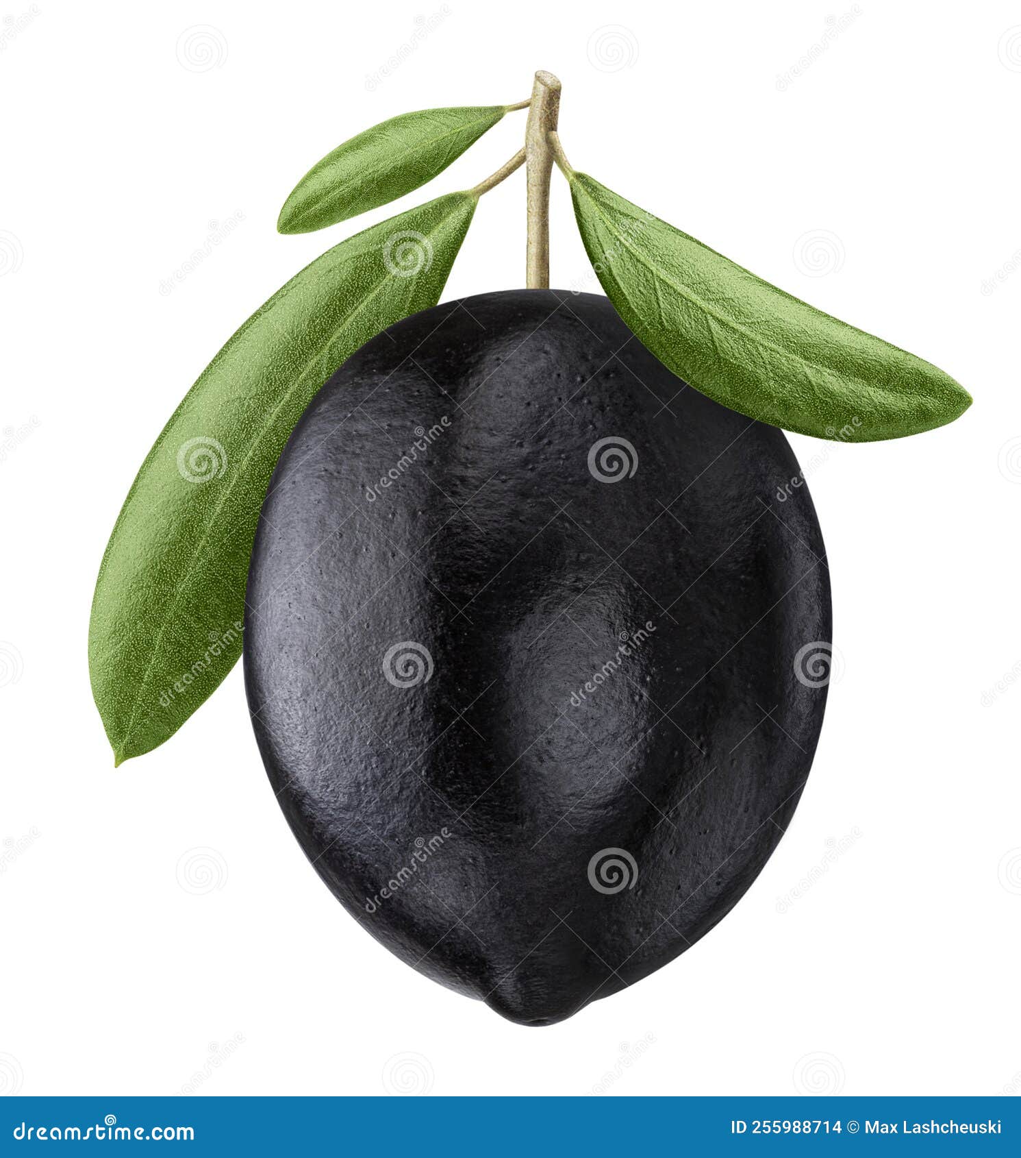 One Black Olive Isolated on White Background Stock Photo - Image of ...