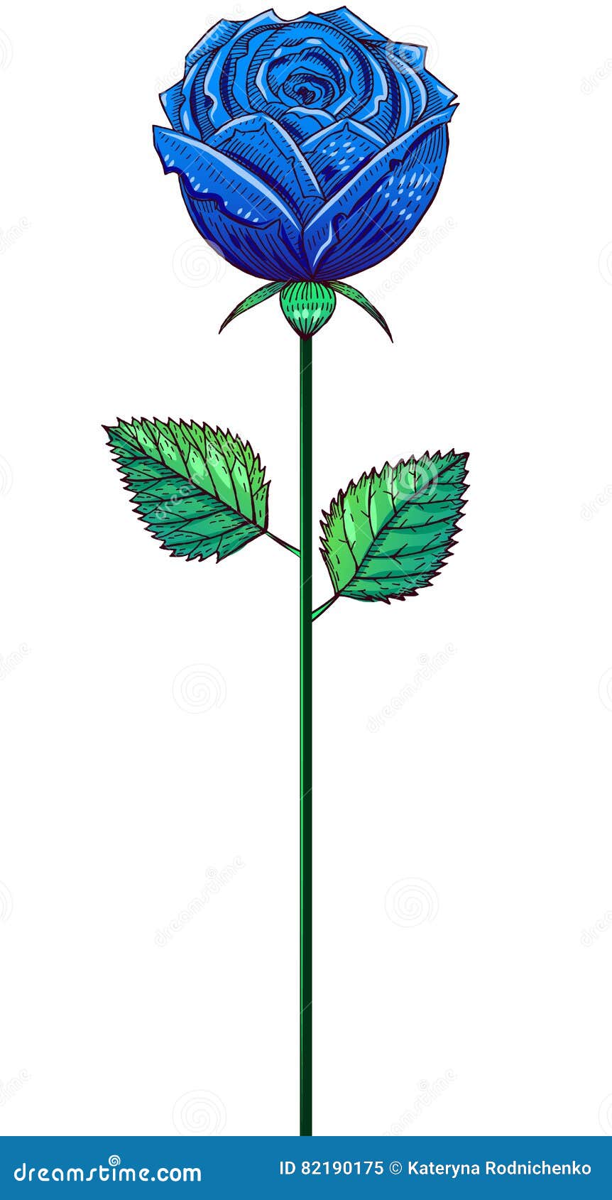 One Blue Bud Rose on a Stem Stock Vector - Illustration of floral ...