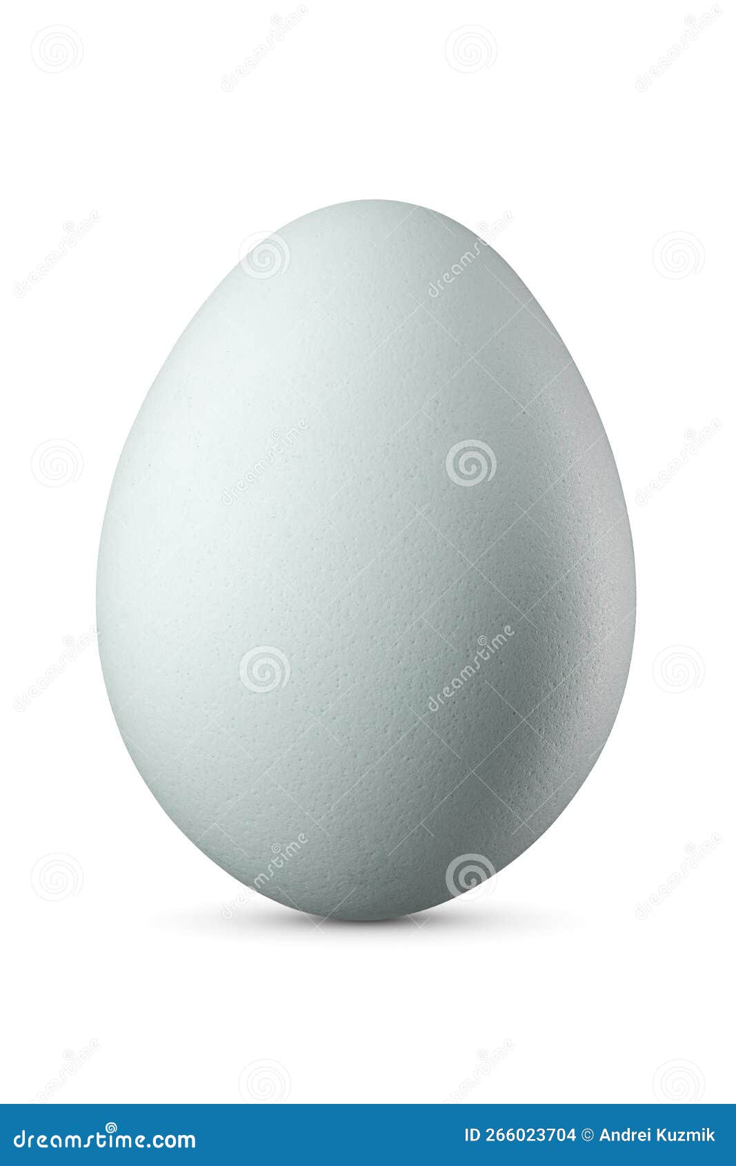 One Blue Chicken Egg Isolated on White Background Stock Photo - Image ...