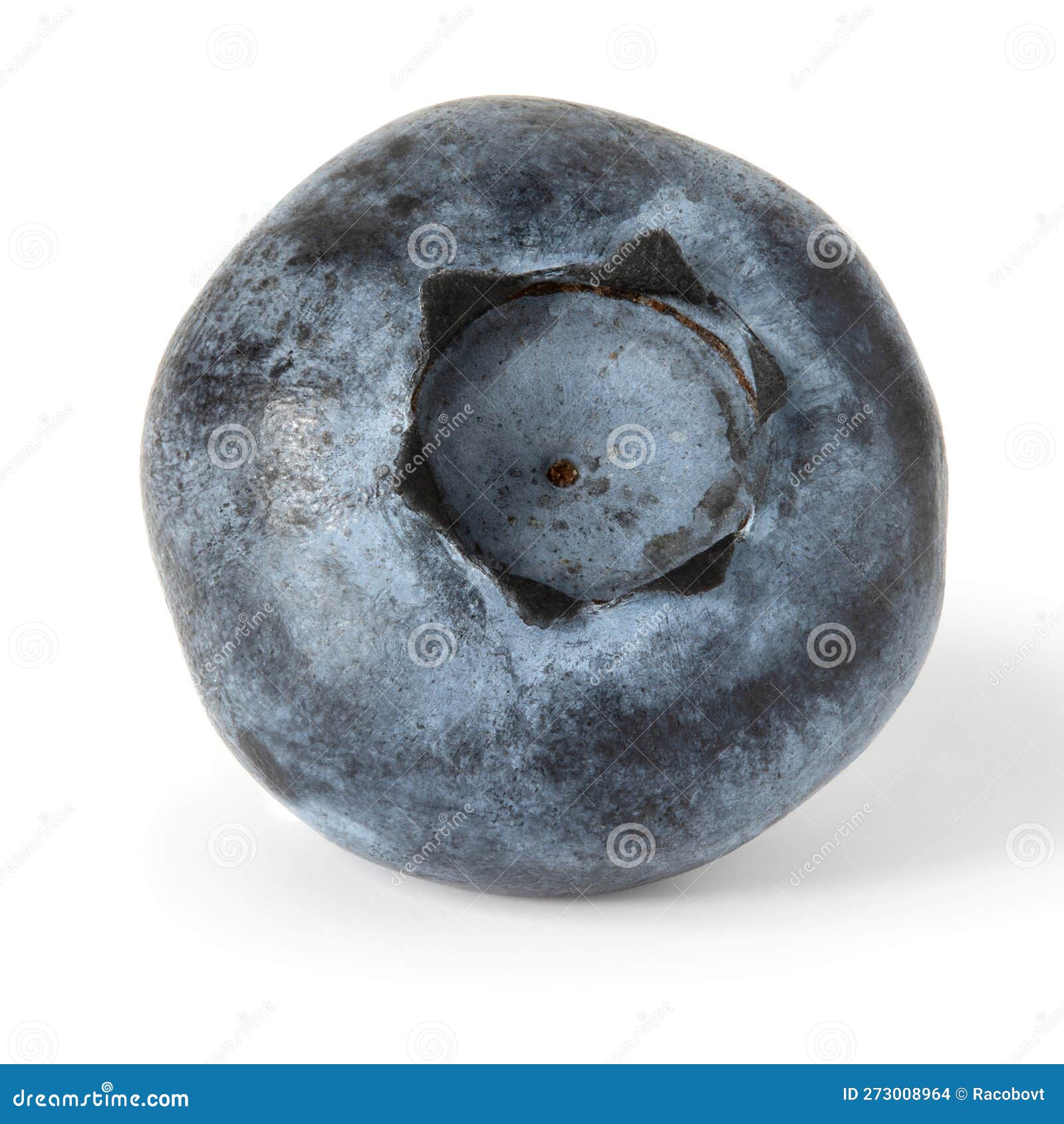 One Blueberry Close-up on a White Background. Full Depth of Field. with ...